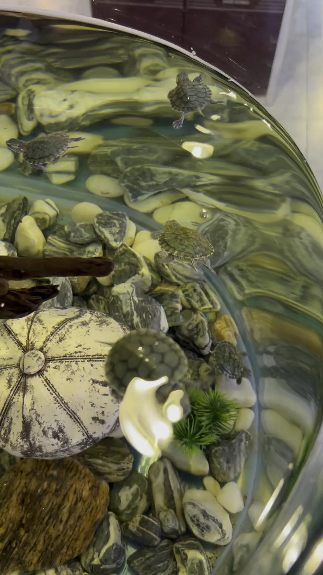 Comfort driving mode 🐢🐢😎 | Video published by Auto world look | Lemon8