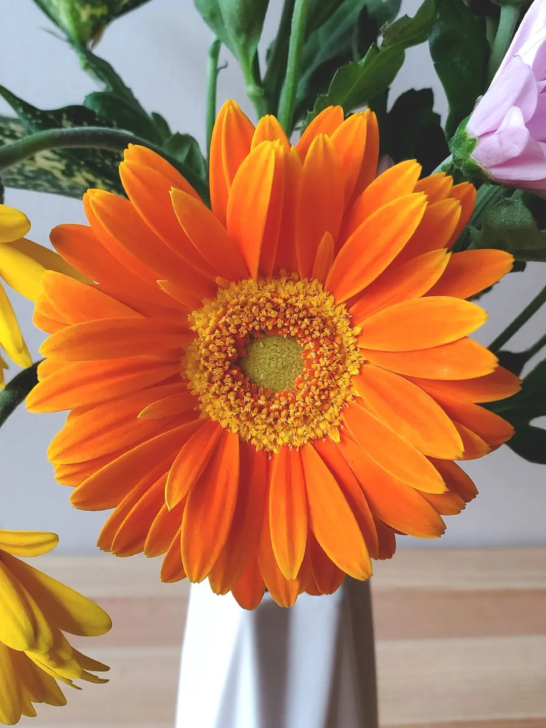 Japan's No. 1 flower producer! Regular flower delivery in Tahara City ...