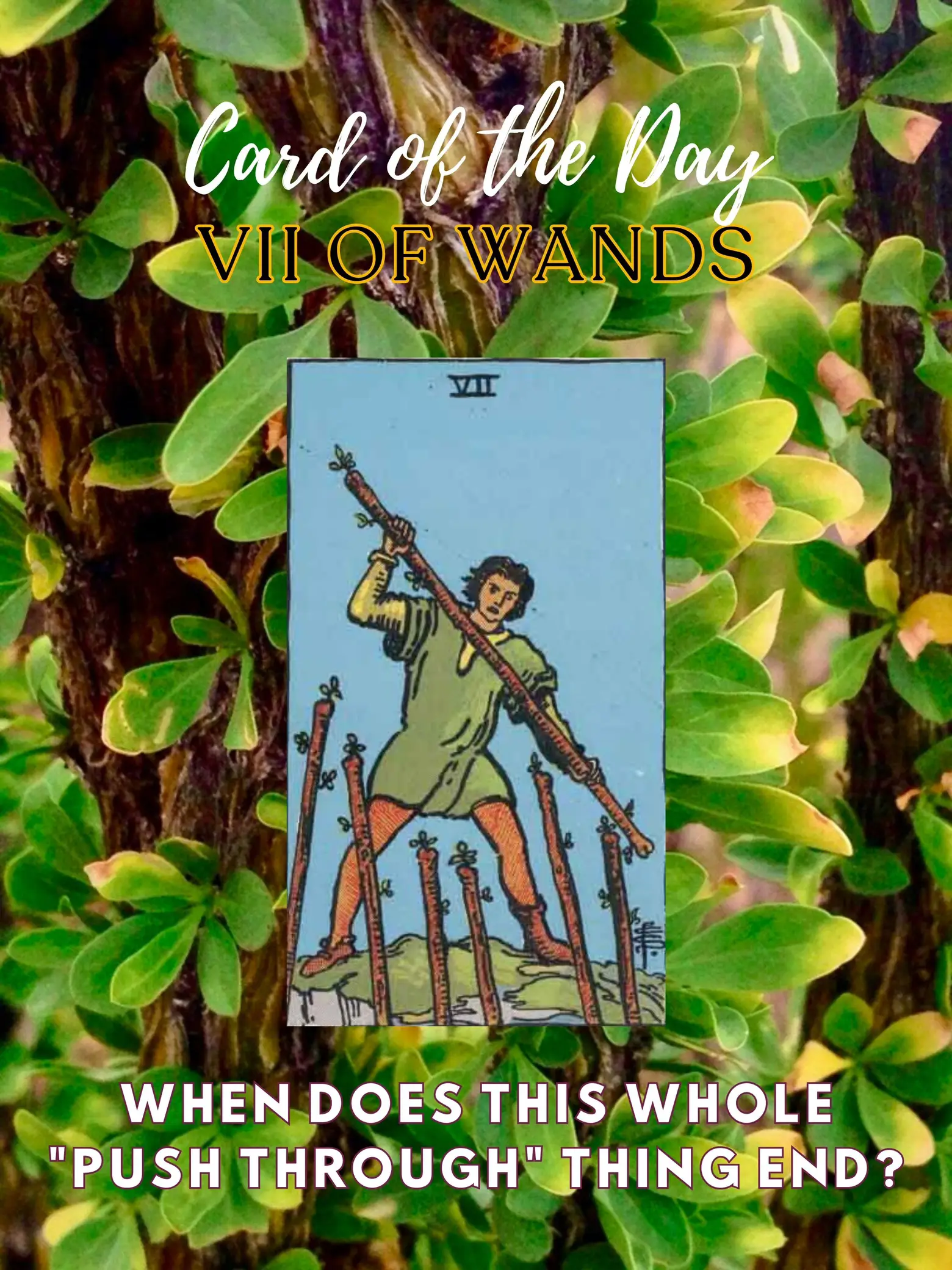 Soooo, how long is it gonna be like this? COTD | Gallery posted by Tarot Gathering | Lemon8