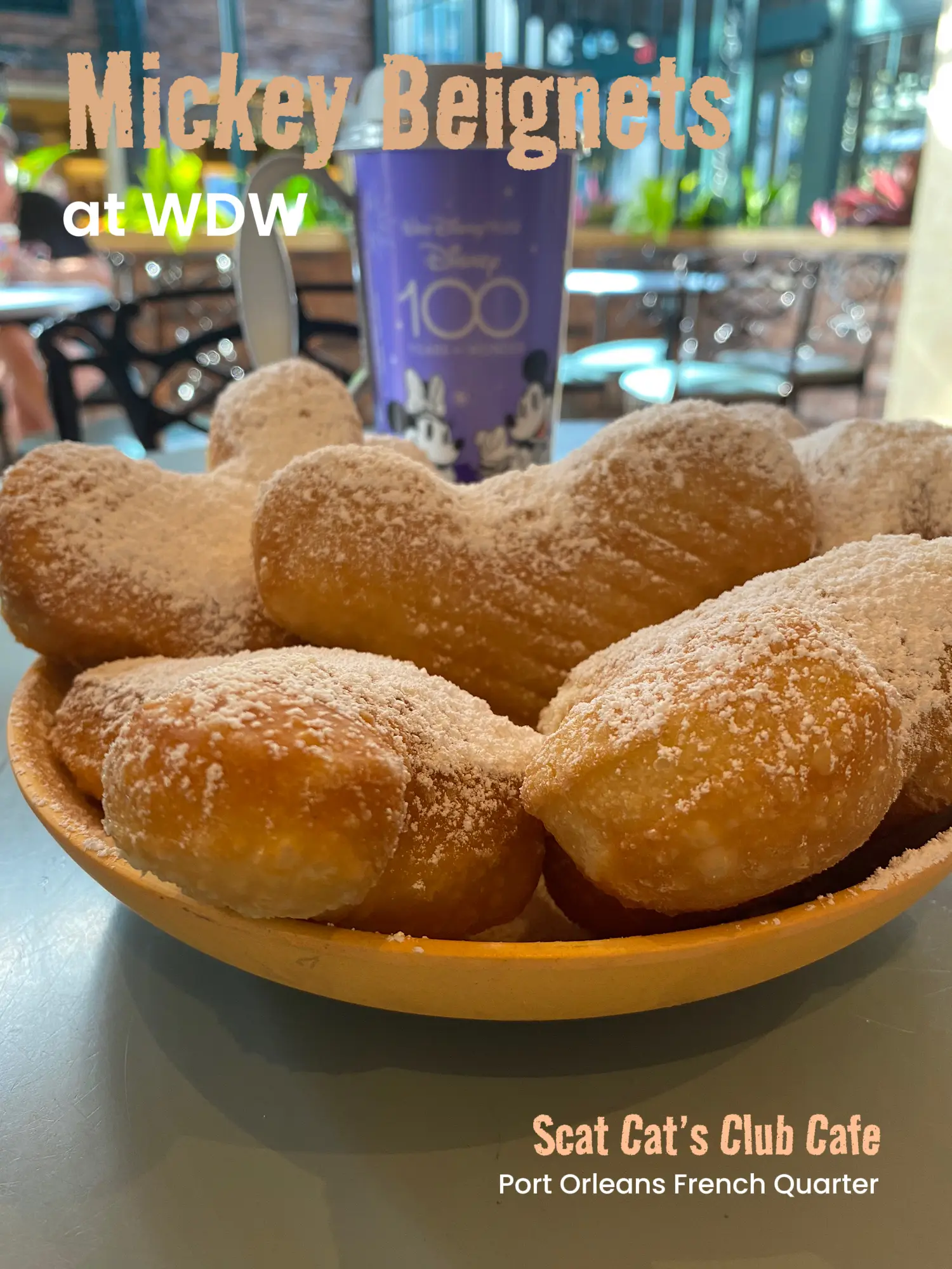 Mickey Beignets at Walt Disney World | Gallery posted by Natalie Howell ...