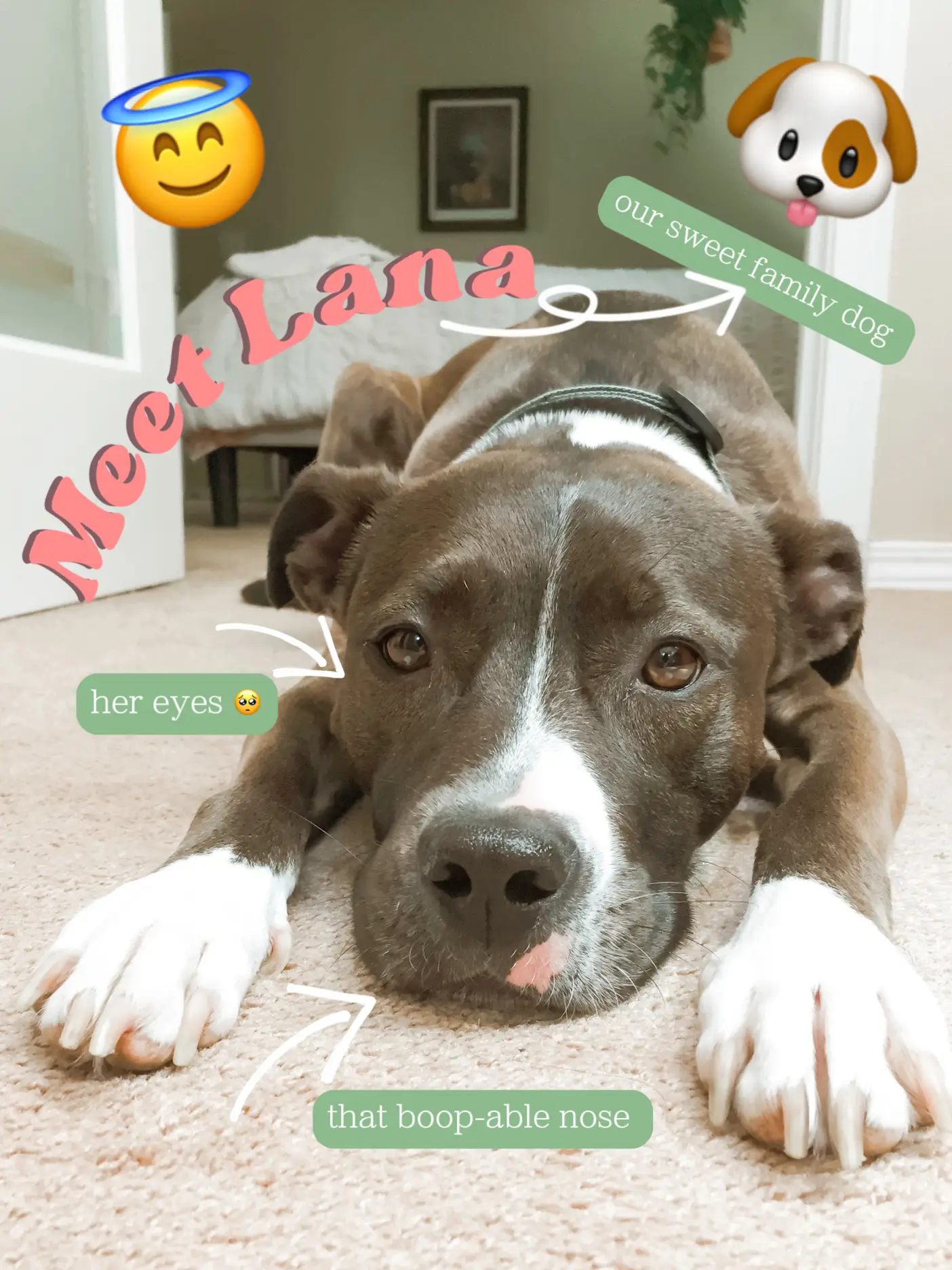 Meet Lana | Gallery posted by natascha 🕊️ | Lemon8