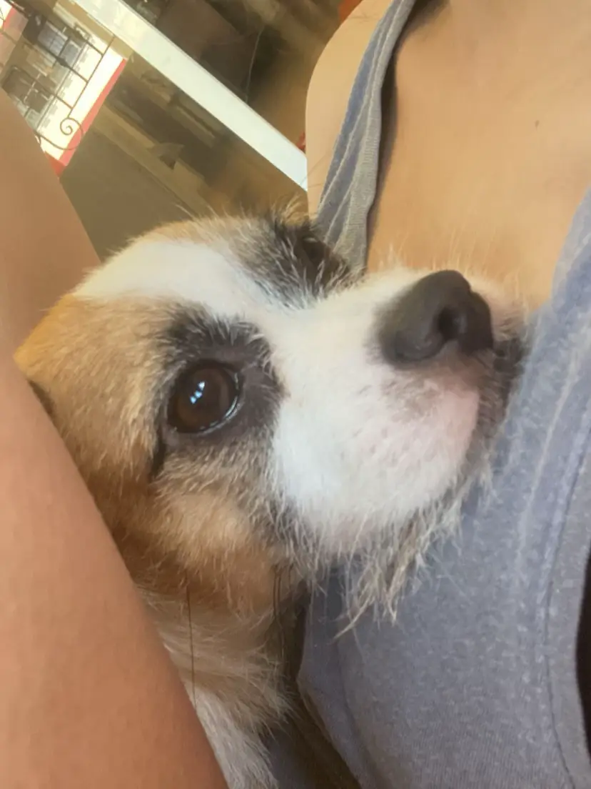 mailo aka the love of my life🤍 | Gallery posted by kei | Lemon8