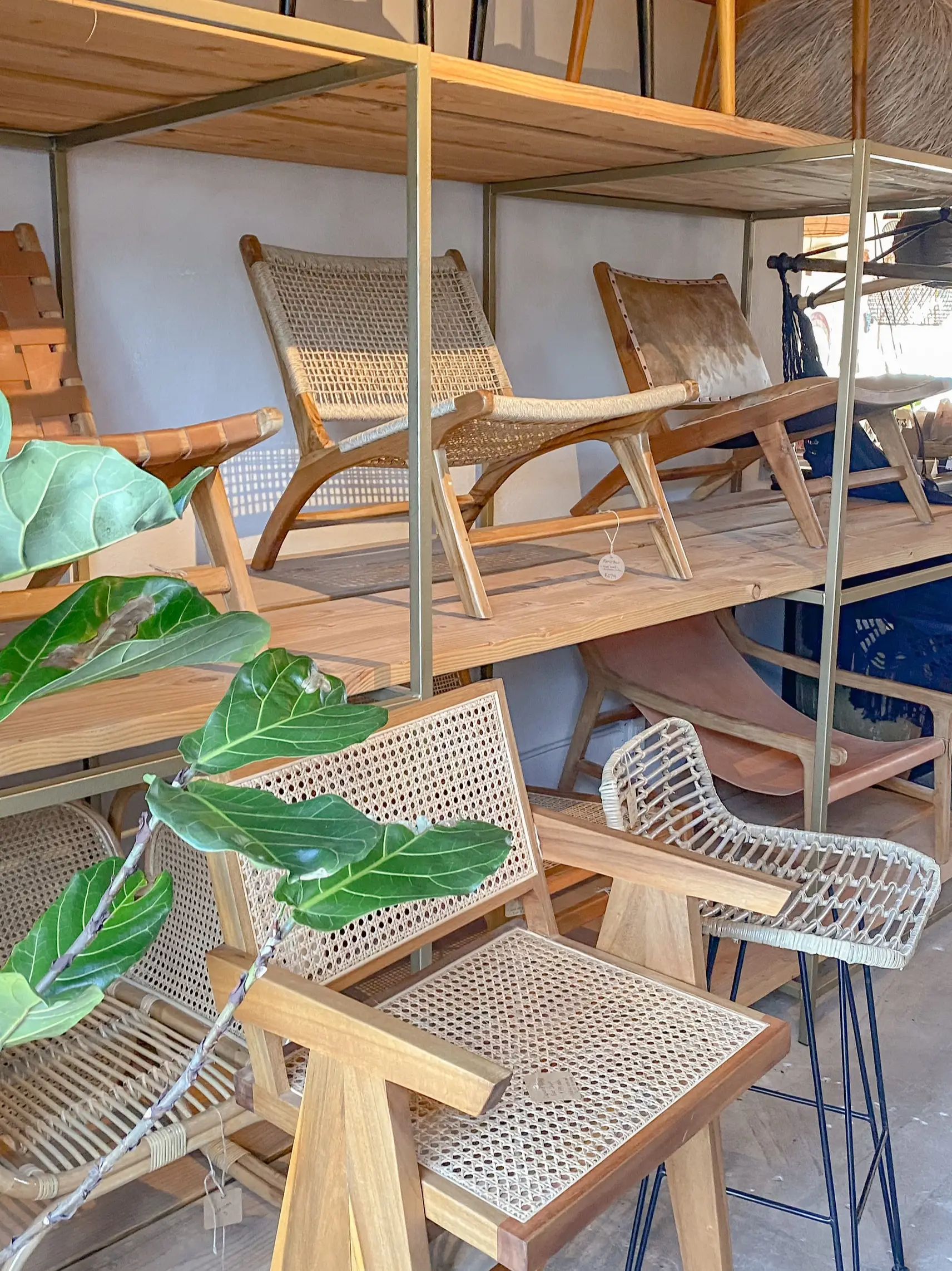 Joshua Tree: Favorite place to explore & shop! | แกลเลอรีที่โพสต์โดย ...