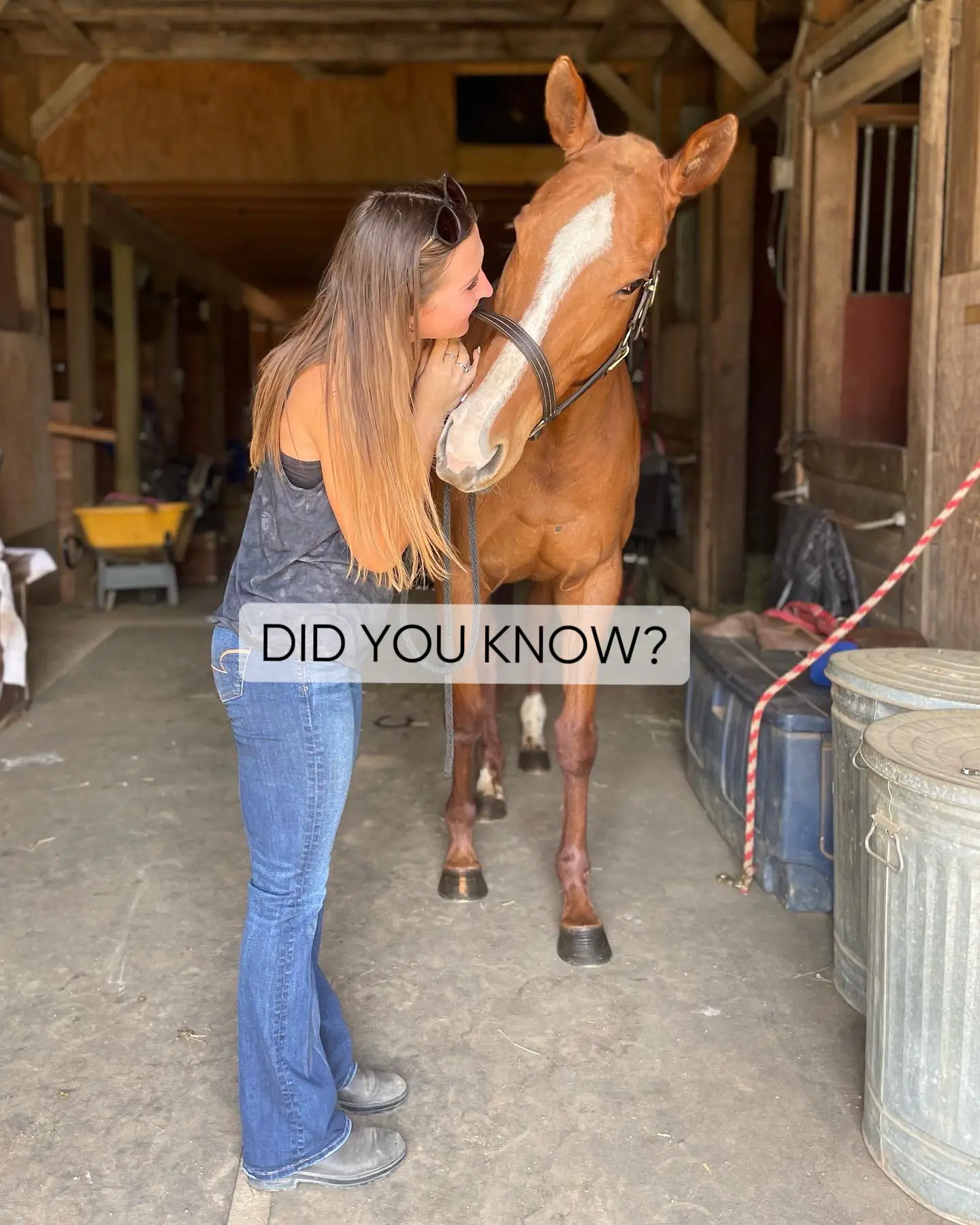 Did you know? | Gallery posted by Marissa Wells | Lemon8