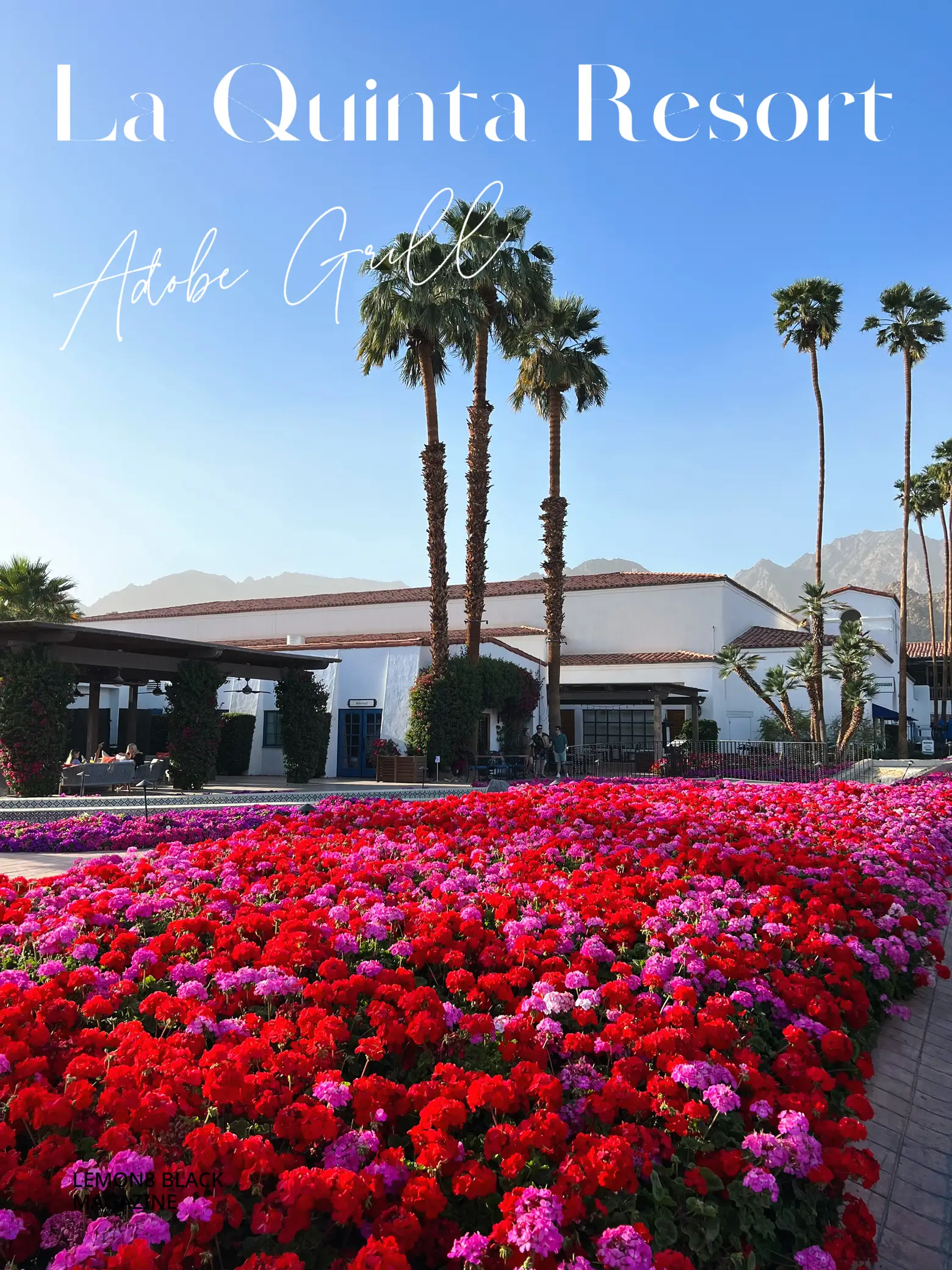 La Quinta Resort | Adobe Grill 🌮 | Gallery posted by Morgan Reece | Lemon8