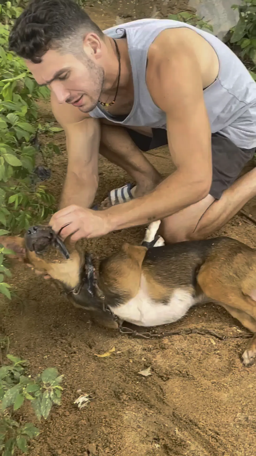 BREAKING NEWS VIRAL DOG RESCUE FYP DOG MOM TREND | Video published by DOG SAVIOR | Lemon8