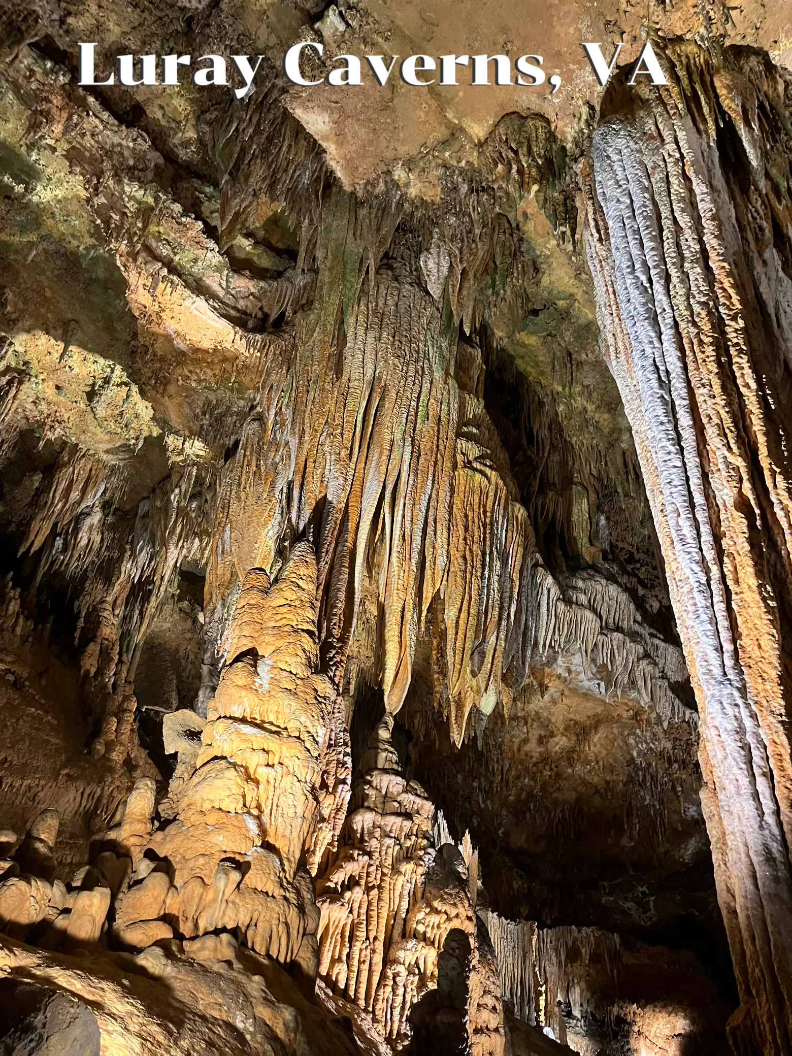 Virginia Trip: Day 2 | แกลเลอรีที่โพสต์โดย MARlNA | Lemon8