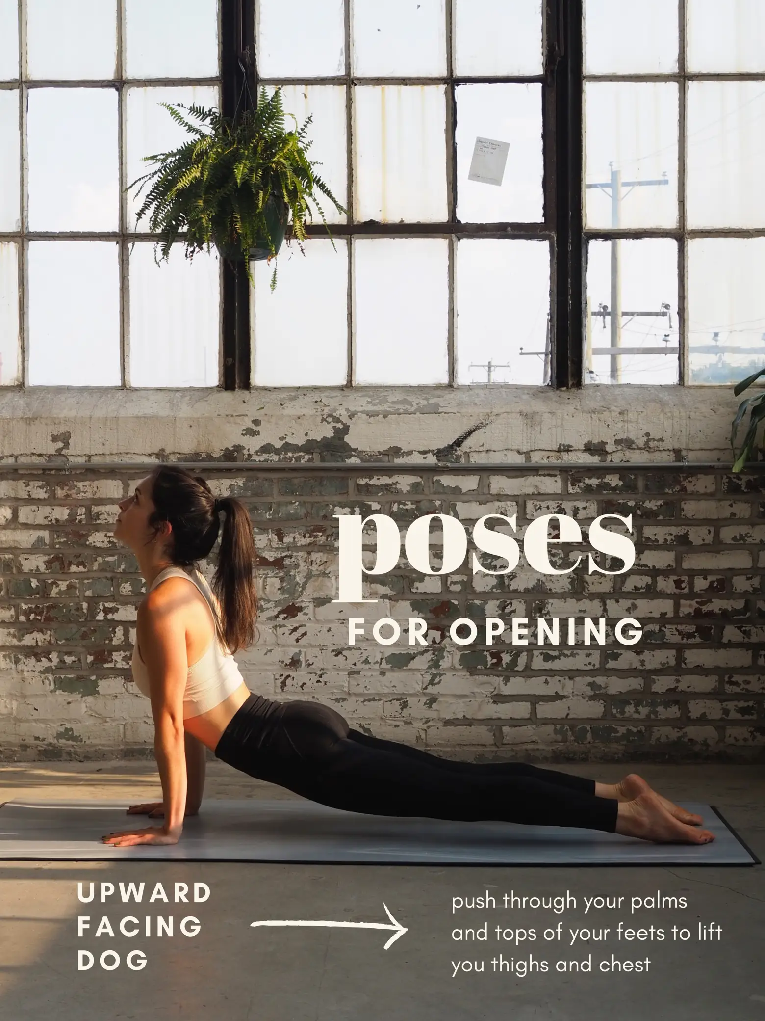 Best Yoga Poses for Opening | Gallery posted by Alli | Lemon8