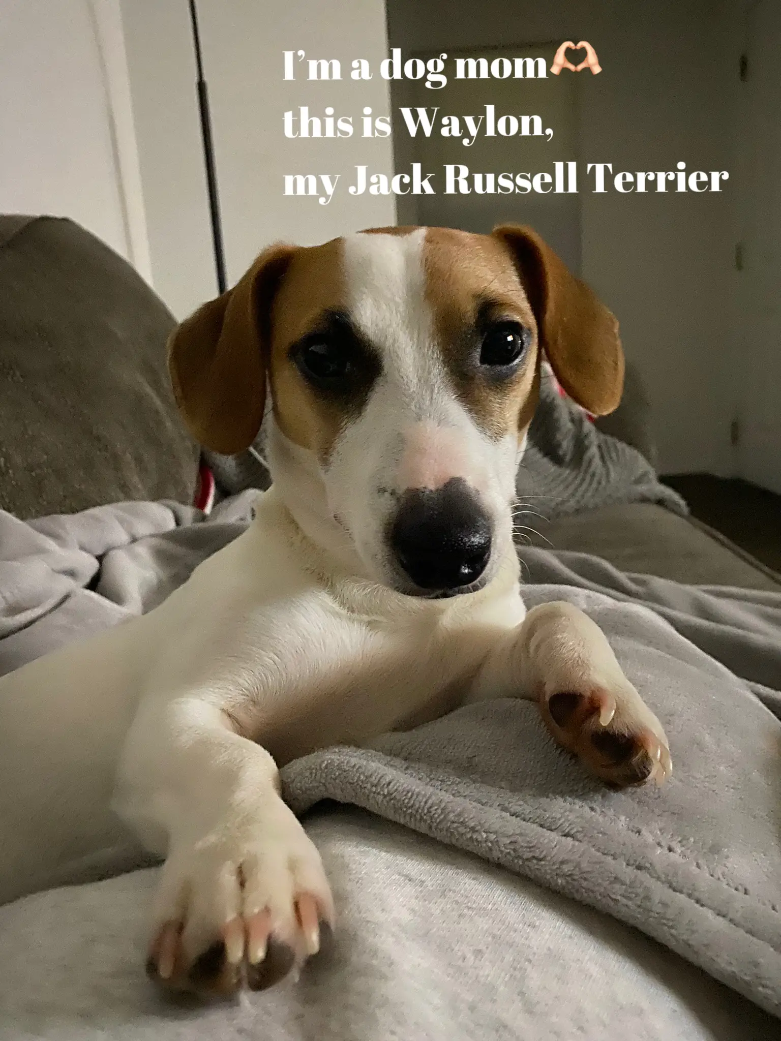 ABOUT ME 🫶🏻 | แกลเลอรีที่โพสต์โดย Taylor Paige | Lemon8