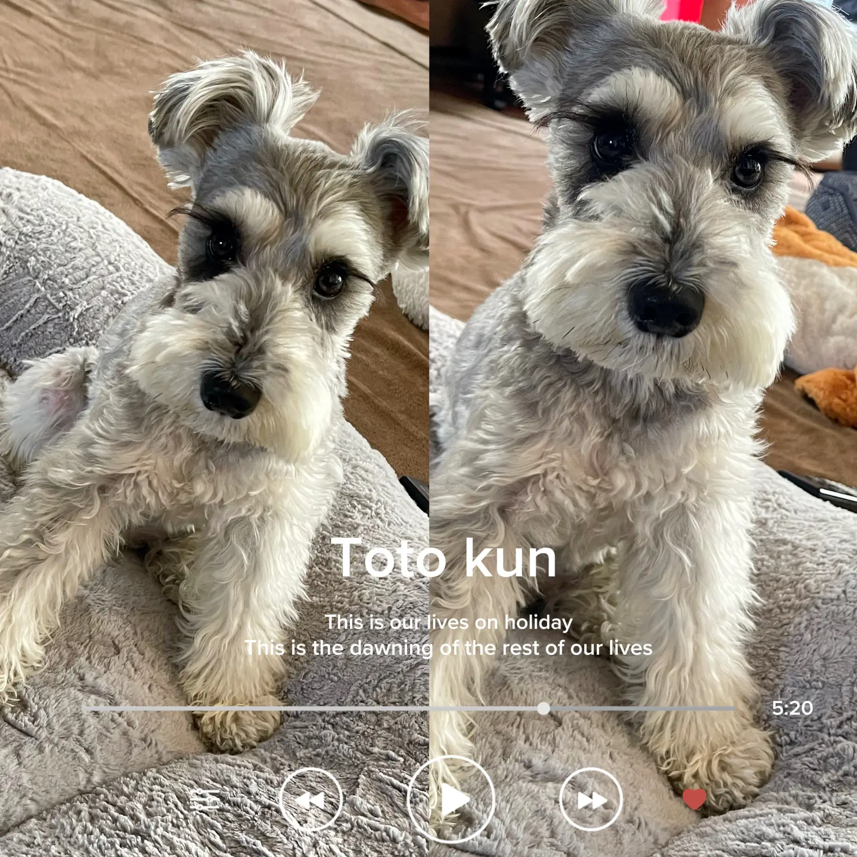 หน้าเตาเพราะหนาว | แกลเลอรีที่โพสต์โดย toto0404.kun | Lemon8