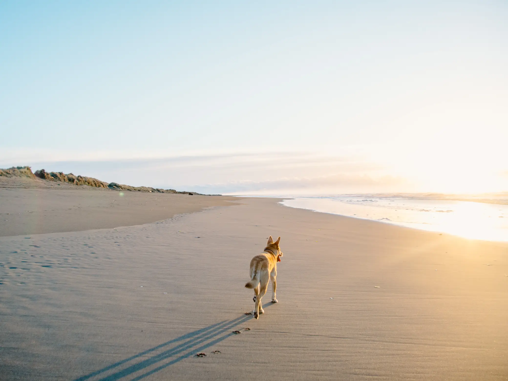 Finally some sunshine! 💛 | Gallery posted by Sammantha | Lemon8