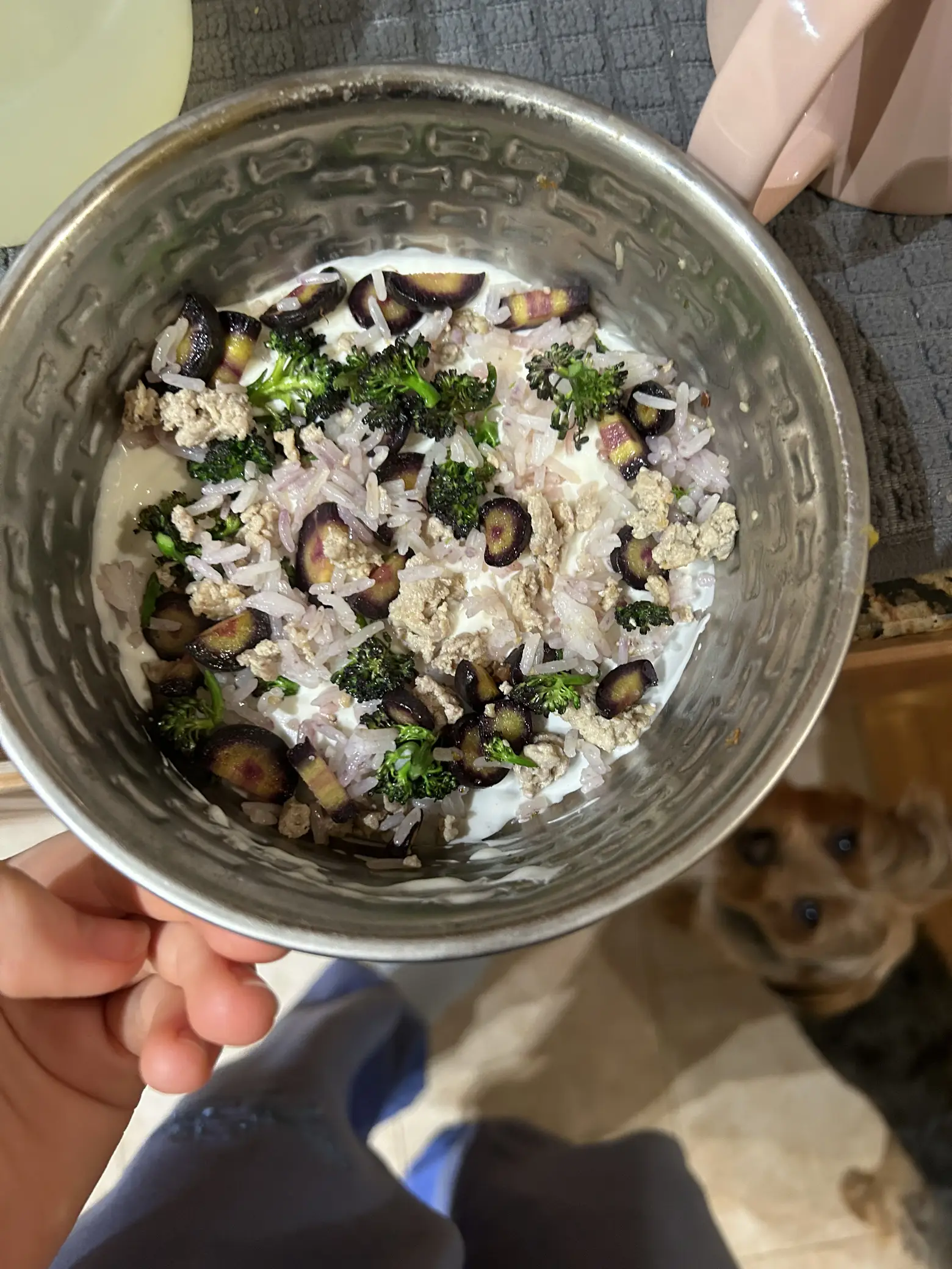 Homemade dog food that isn’t boring! 🦴🐾 | Gallery posted by Adèle | Lemon8