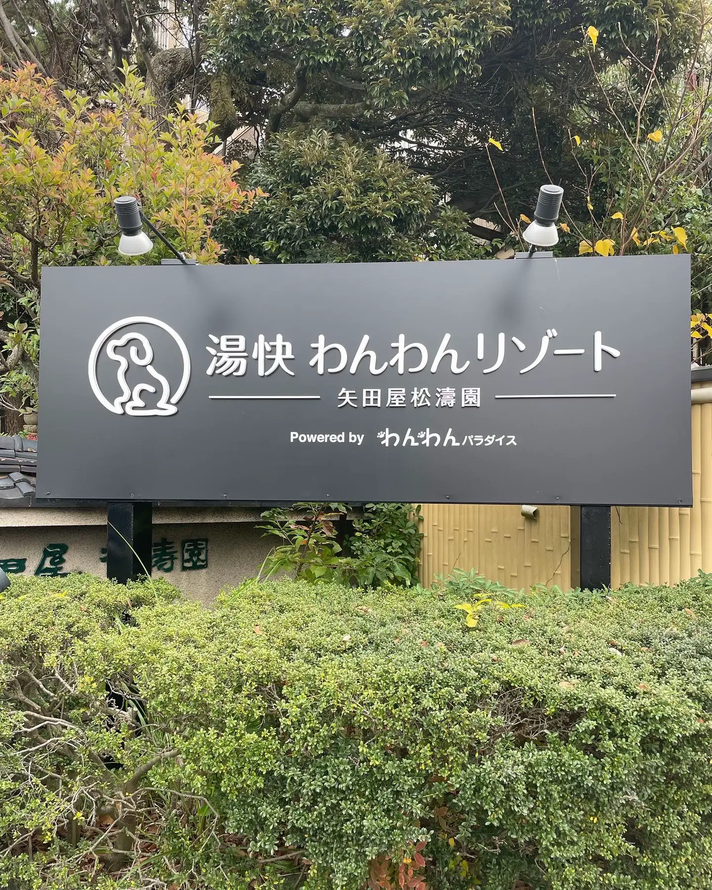 ワンコと一緒に片山津温泉へ♨️ | JYが投稿したフォトブック | Lemon8