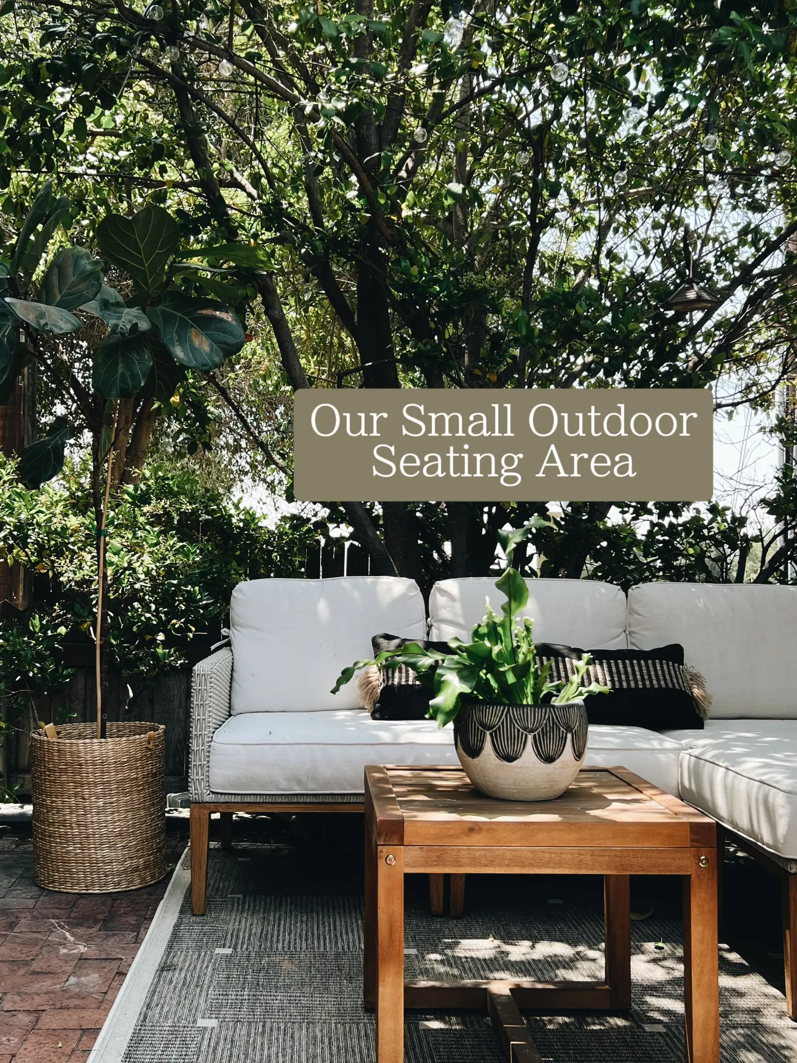 19 top Small Space Seating Options ideas in 2024
