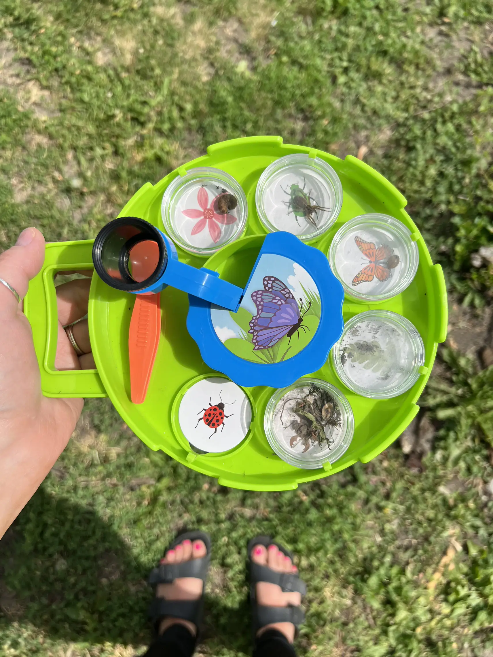 fun bug viewing kit! 🐜 | Galeri diposting oleh m e l a n i e | Lemon8