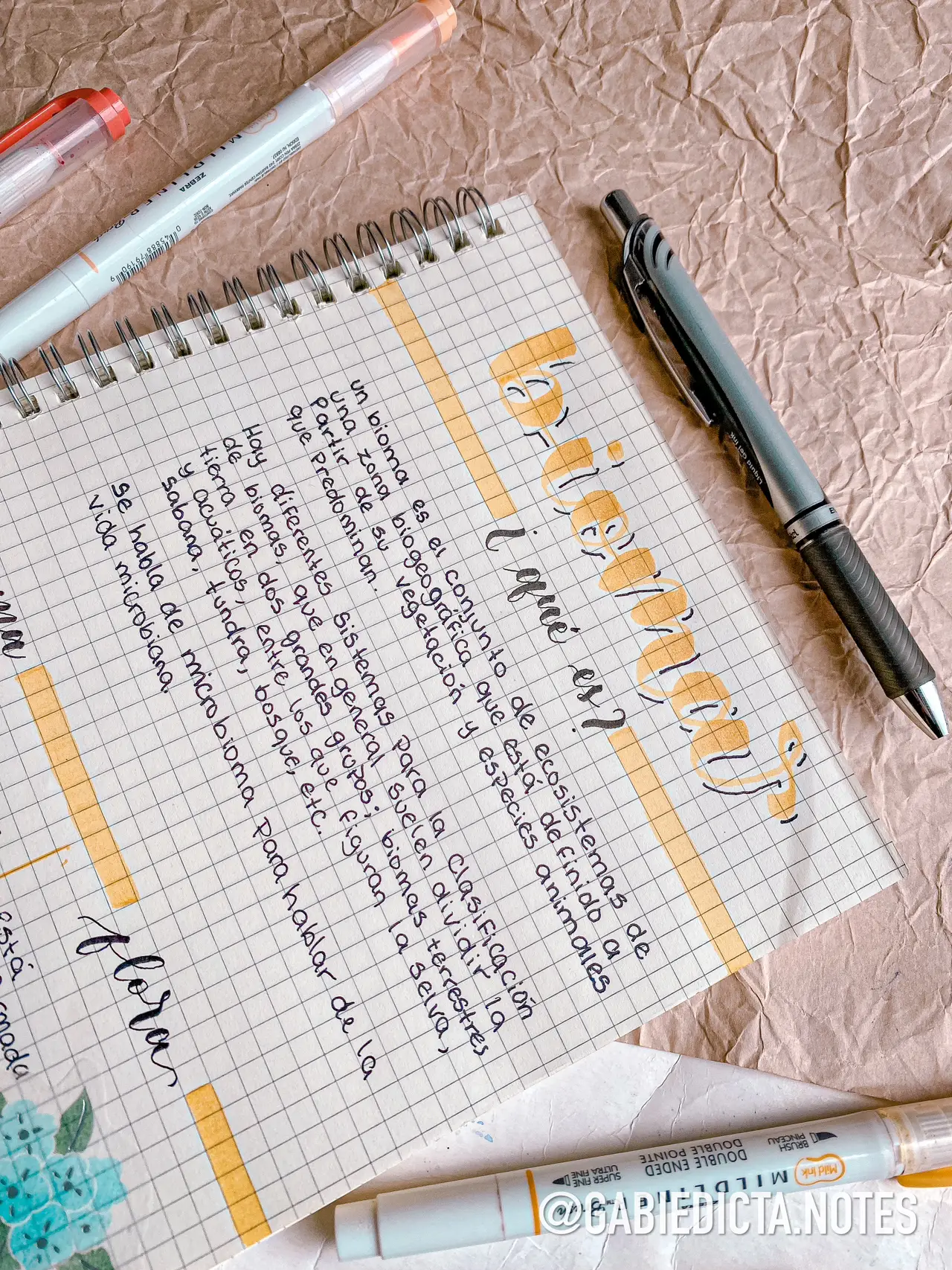 Apuntes bonitos | Gallery posted by Gabiastro.Art | Lemon8