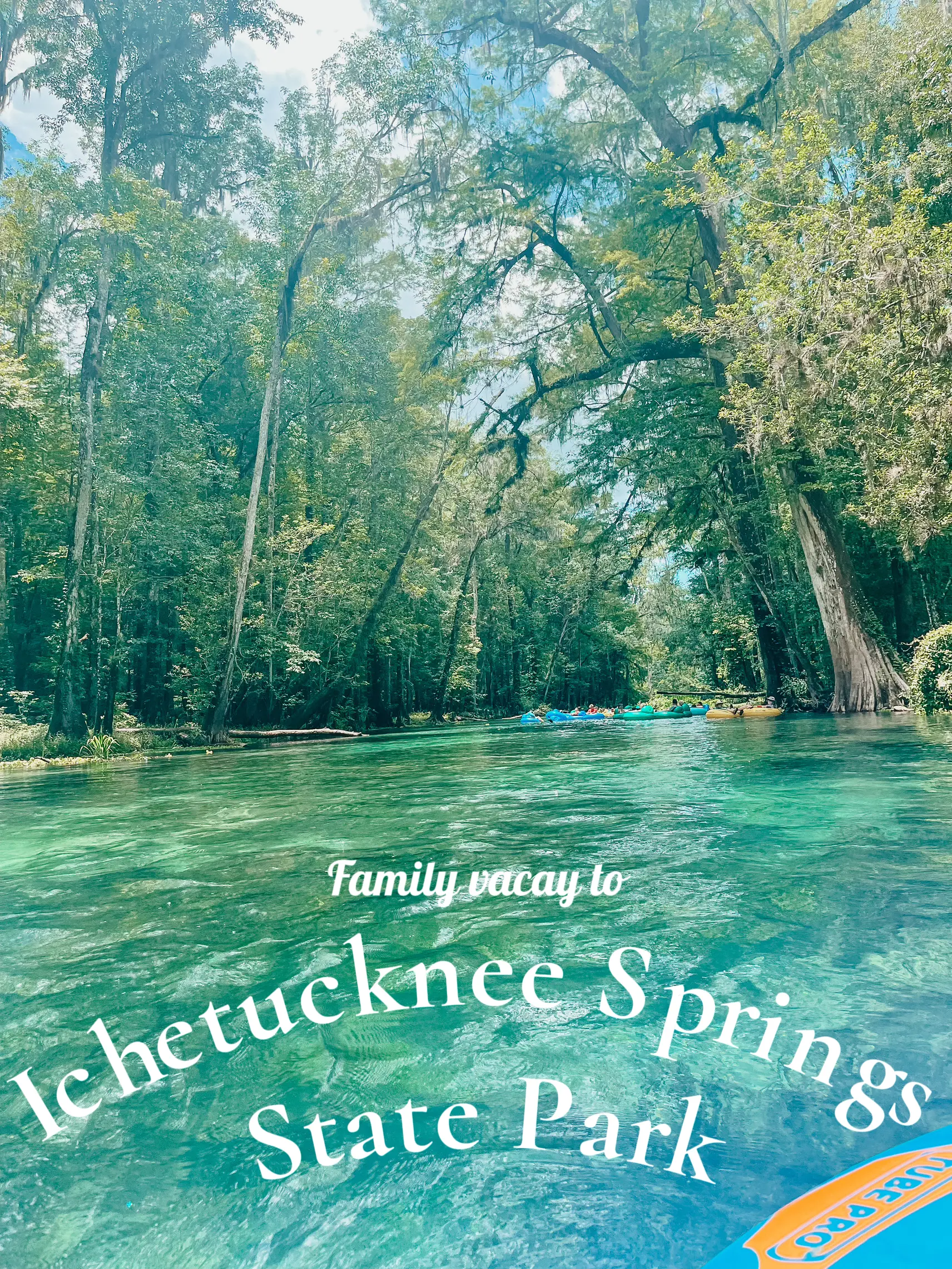 Florida’s spring-fed rivers are another world! | Gallery posted by ...