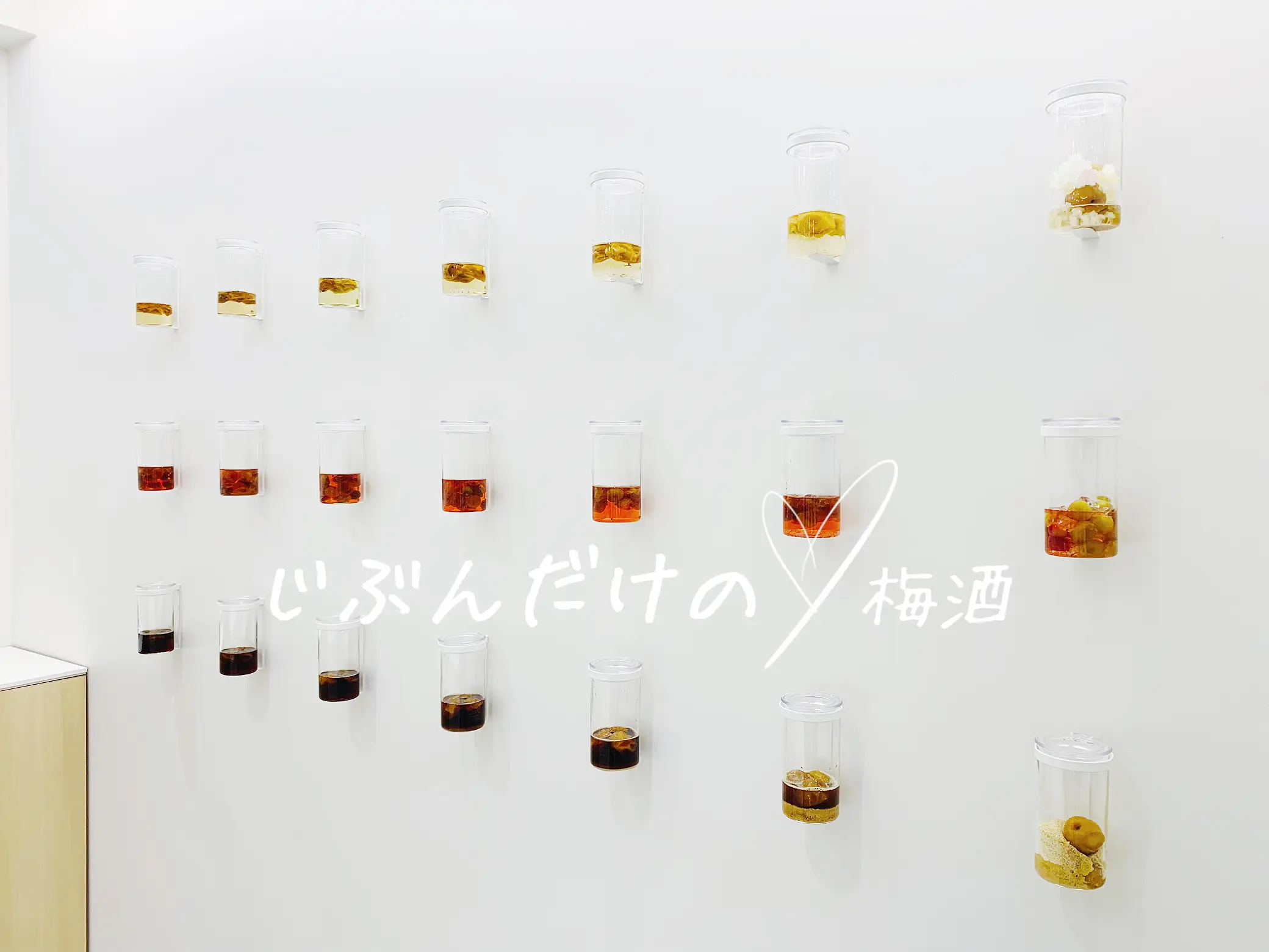 You can make your own plum wine 👘 Kyoto! Ume experience shop Choya ...