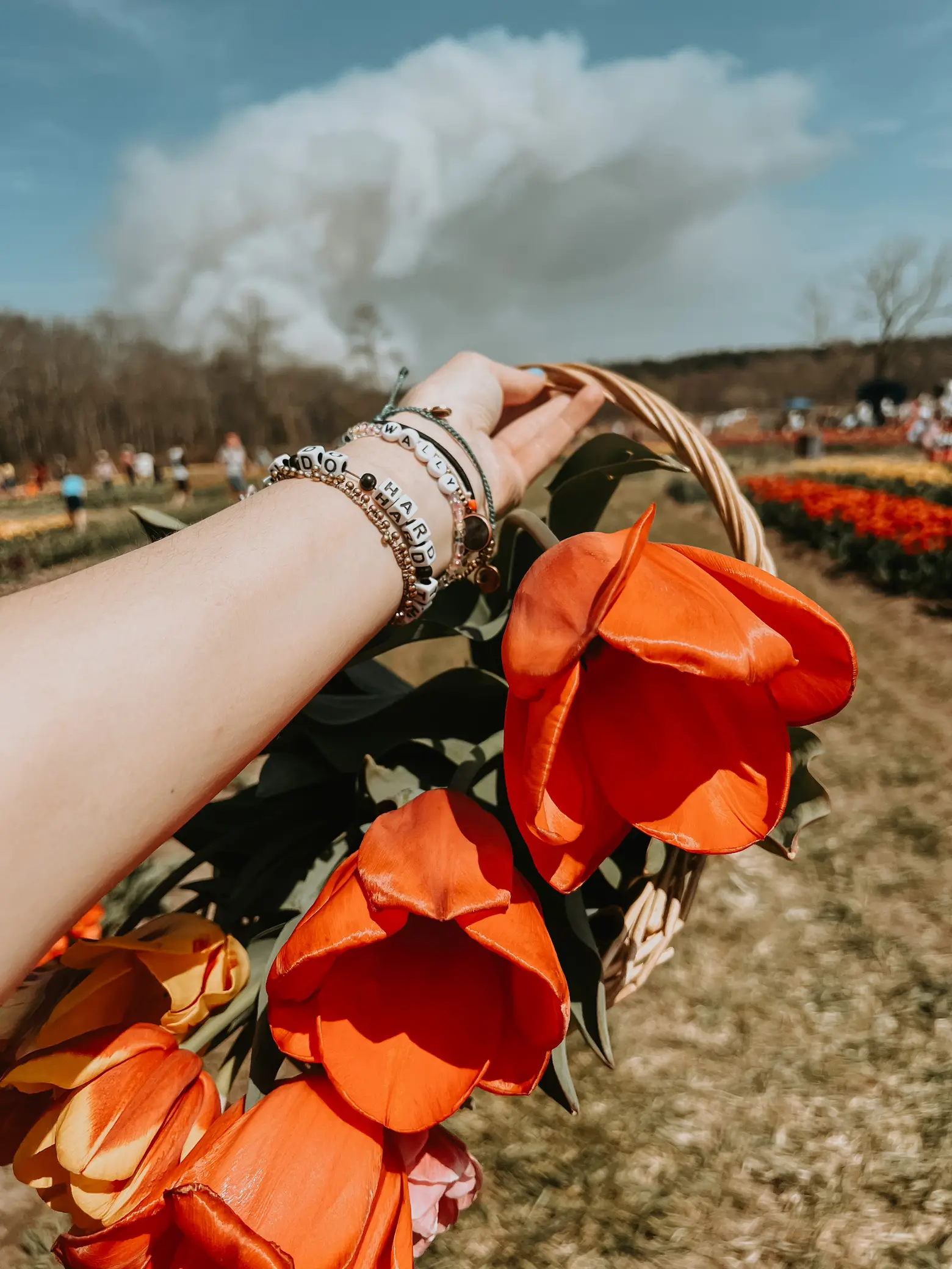 wildfires in rhode island | Gallery posted by shaina 🌈 | Lemon8