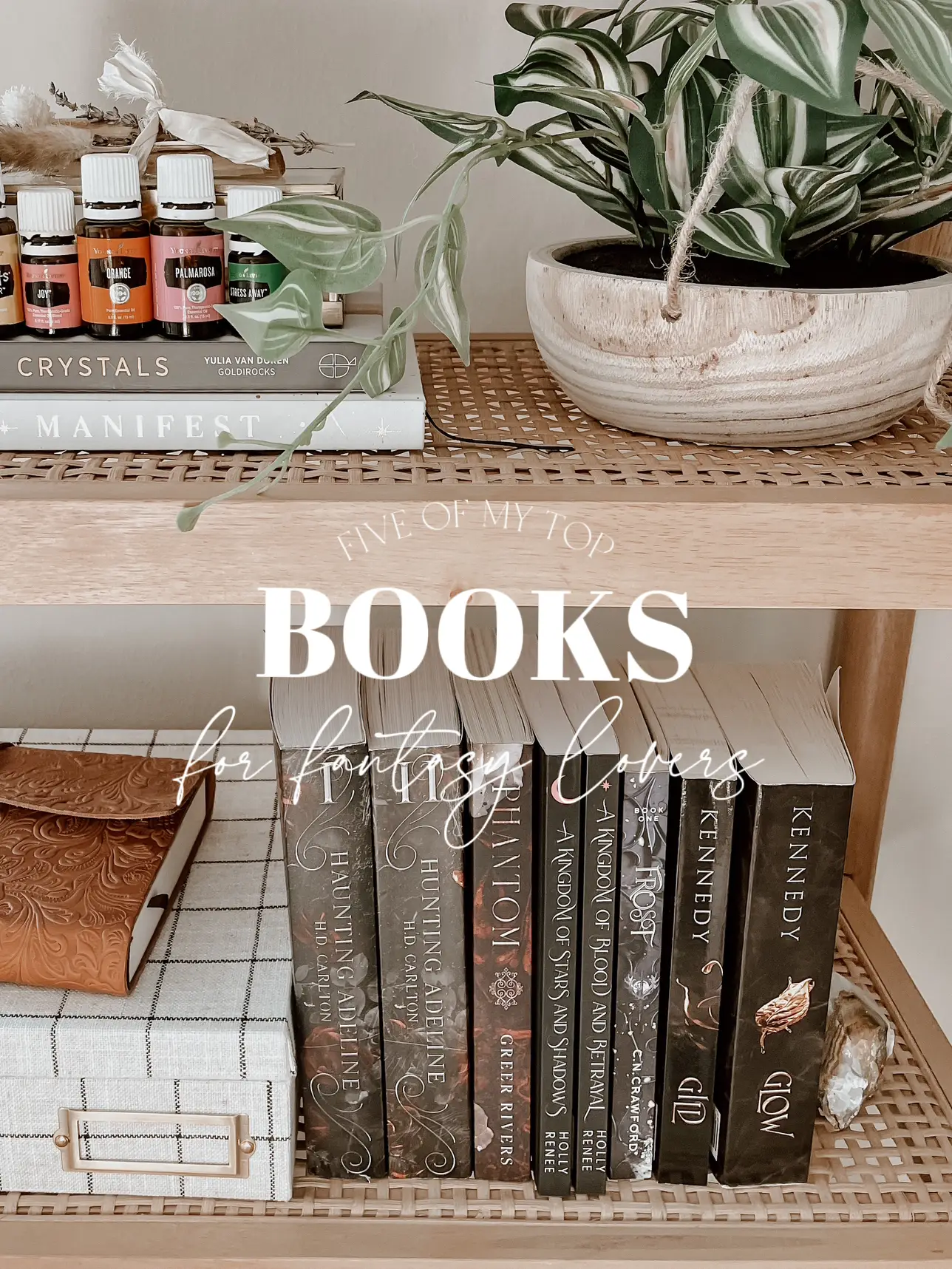 FIVE books you MUST read if you love fantasy! 📖 | แกลเลอรีที่โพสต์โดย ...