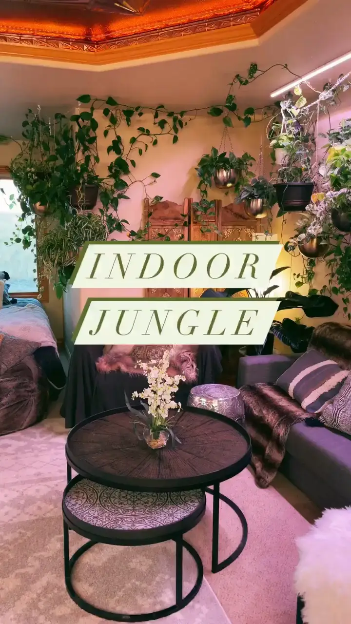 Some of my favorite places to sit in no home 🪴 | Video published by joyofplants | Lemon8