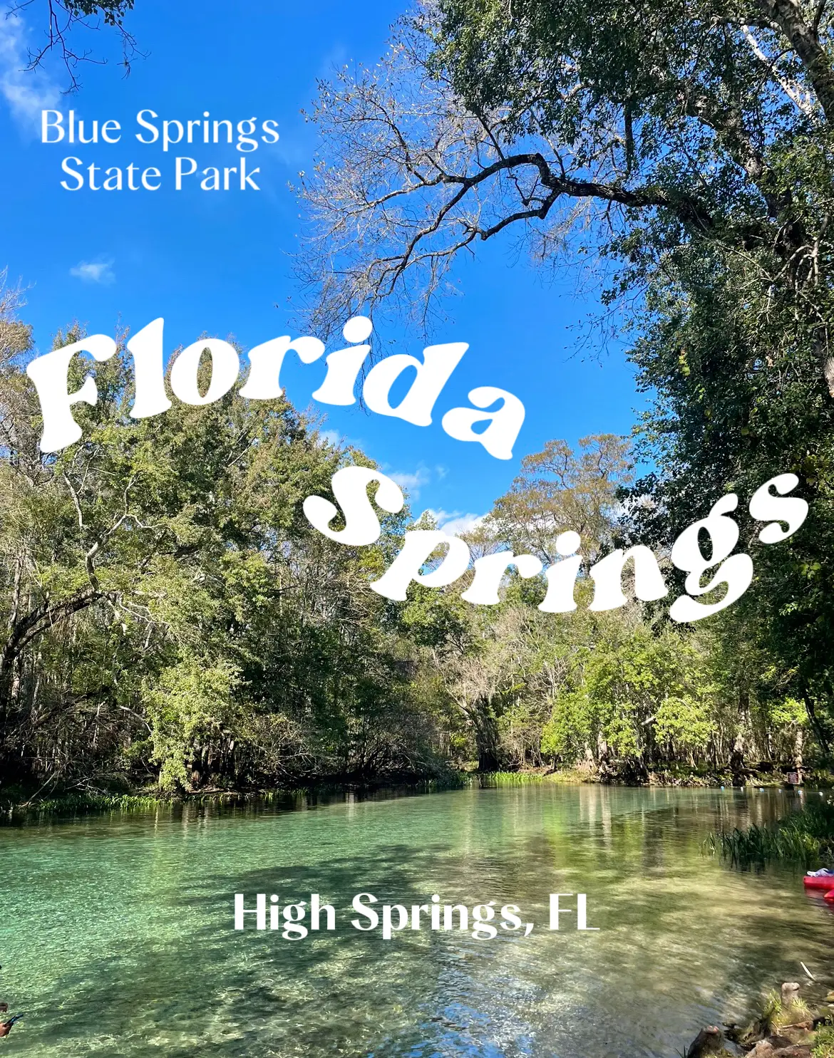 FLORIDA SPRINGS 🍊🤿 | Gallery posted by Elizabeth | Lemon8