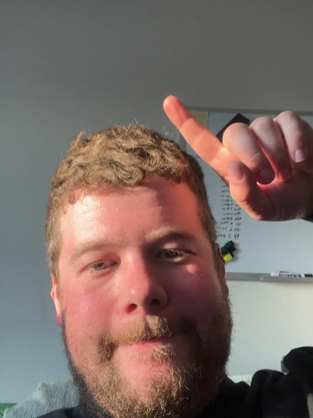 Sunday funday | Gallery posted by Trevor Larson | Lemon8