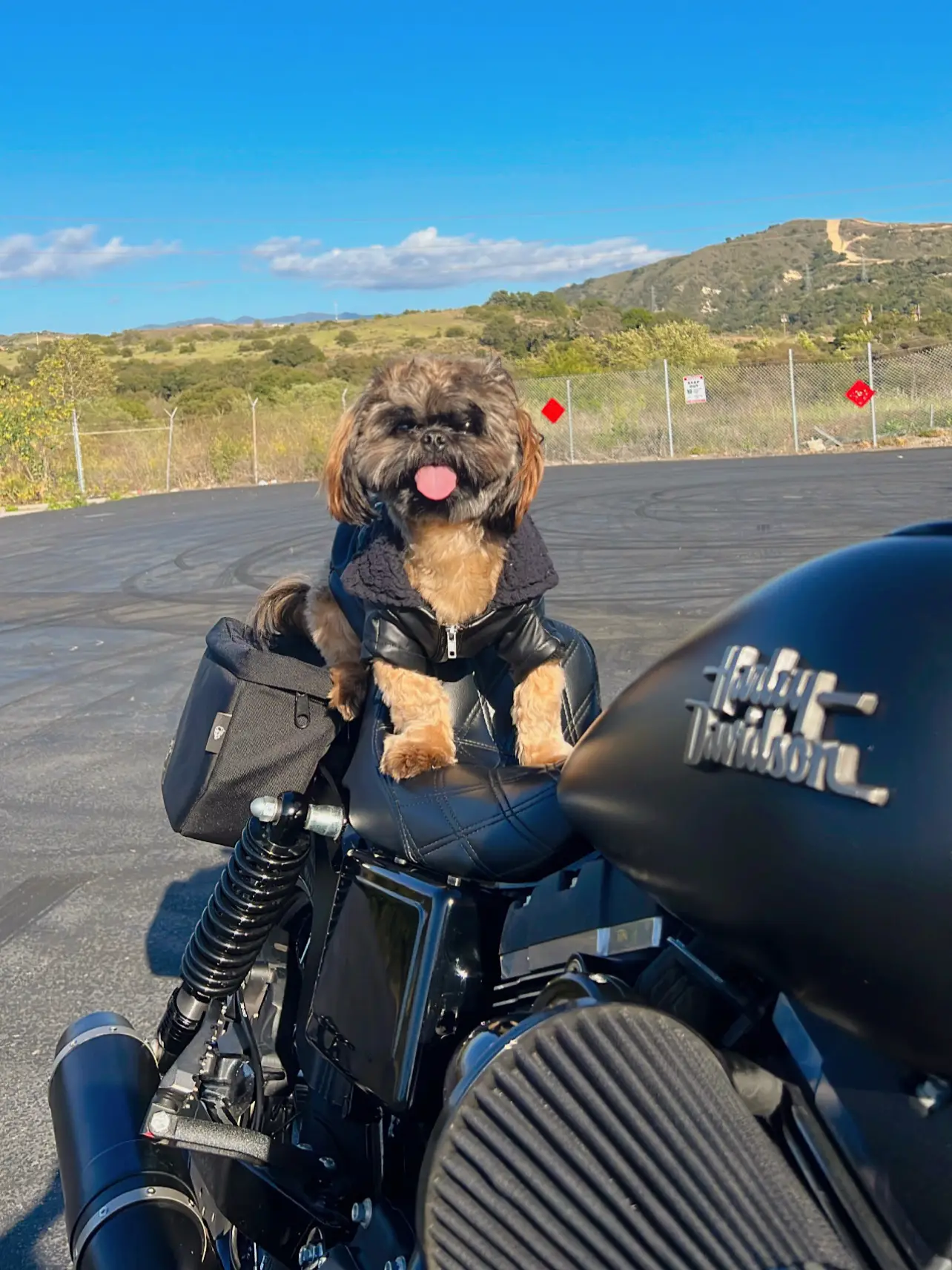 🖤 | Gallery posted by Ricky & Hazy🤠 | Lemon8