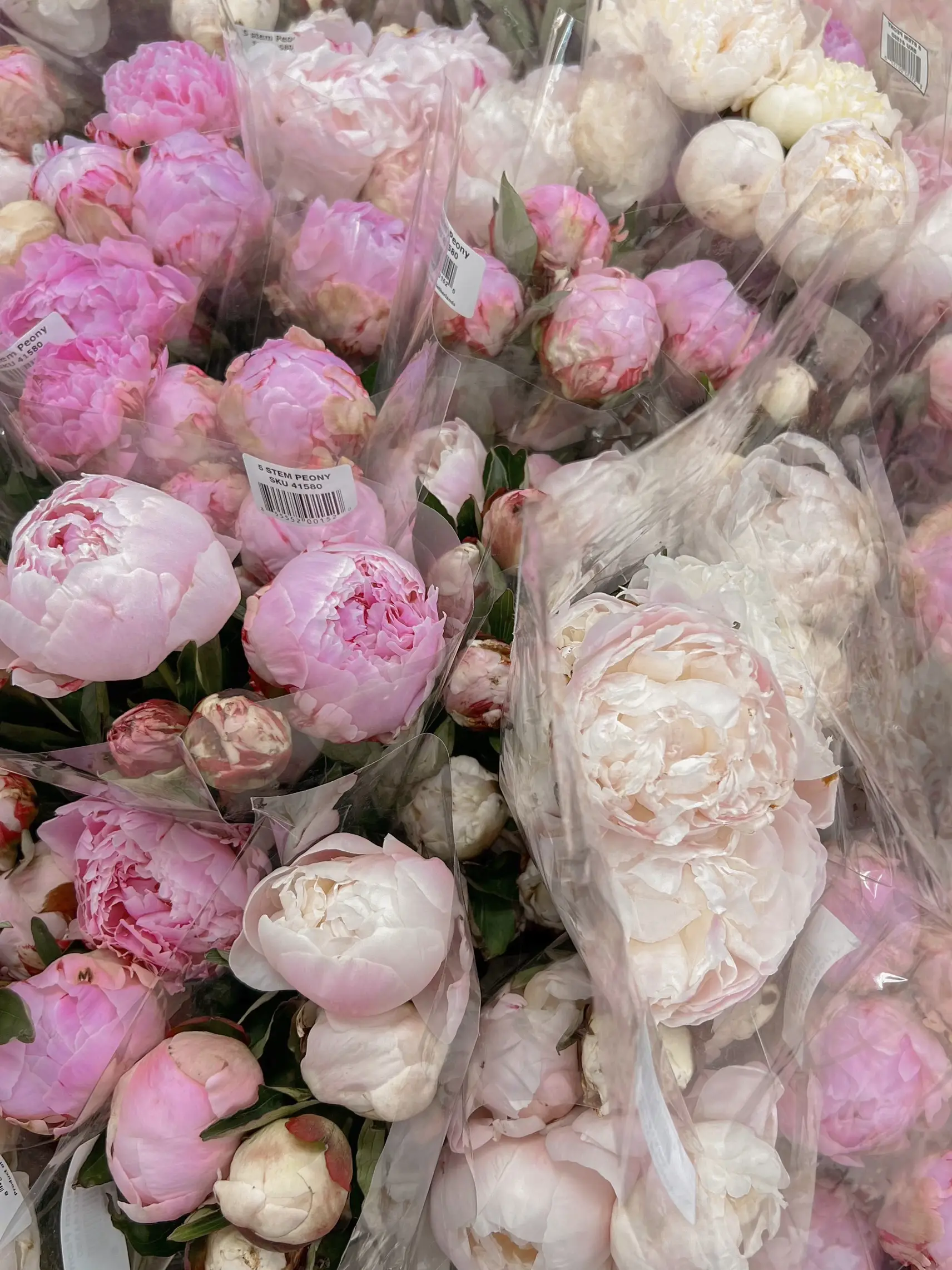 I can buy myself flowers 🌸 | แกลเลอรีที่โพสต์โดย Jillian Nichols | Lemon8