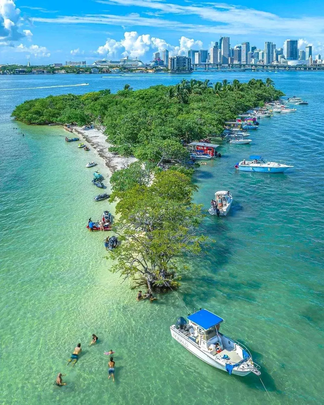 Pace Picnic Island, Miami, USA | Gallery posted by Travel+nature🌱 | Lemon8