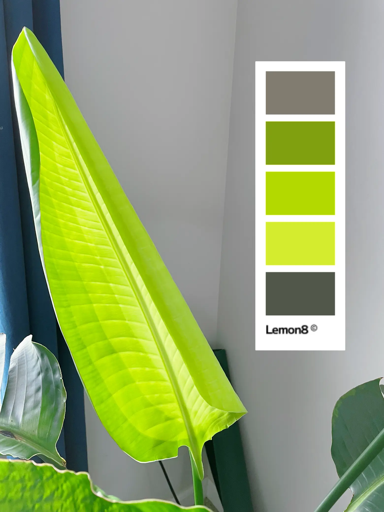 New leaf pallet | Gallery posted by anna | Lemon8