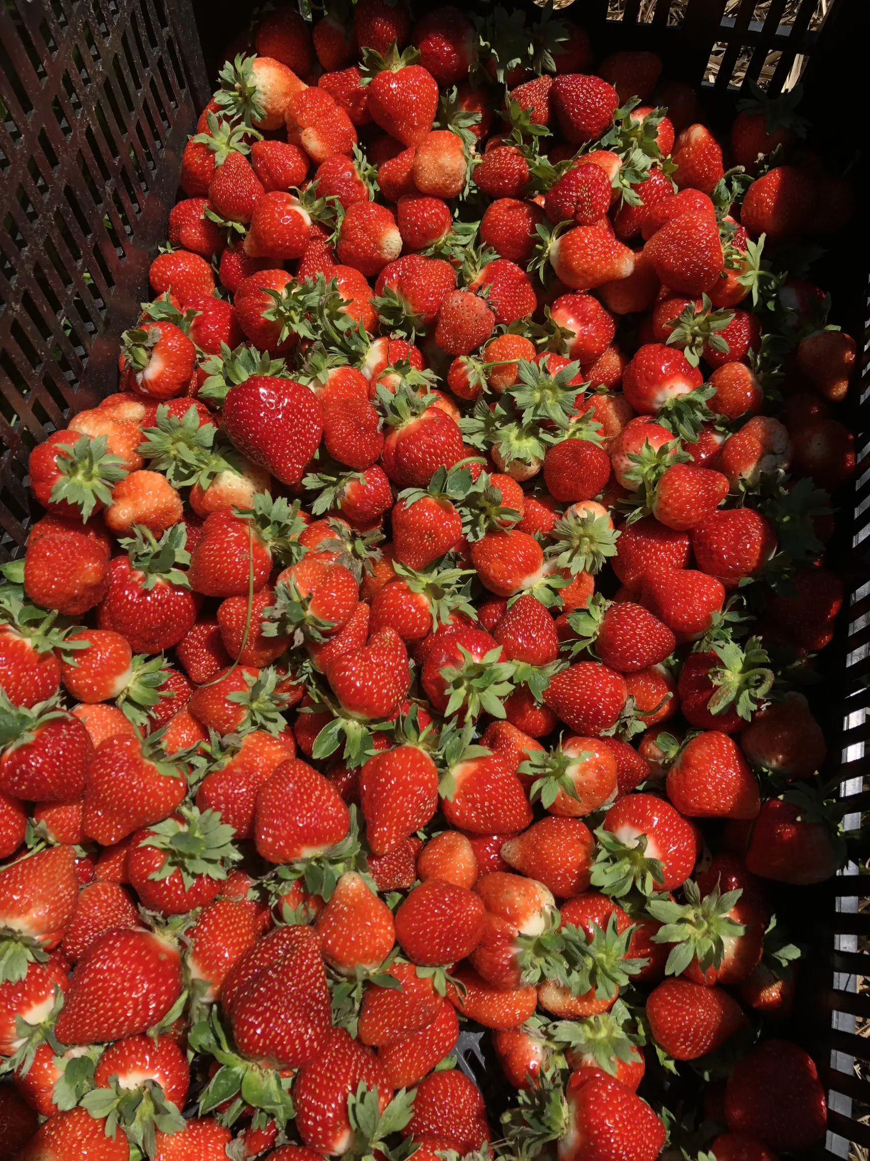 okay CMON!!!!!! | Gallery posted by Landry Ray | Lemon8