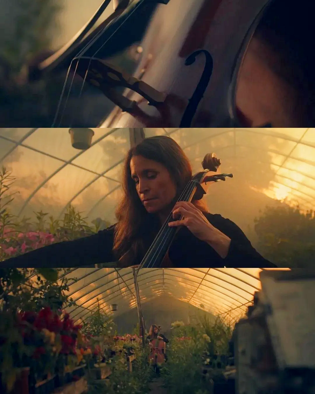 Cinematic Shots from my Black Magic 4k | Gallery posted by Nami Assir ...