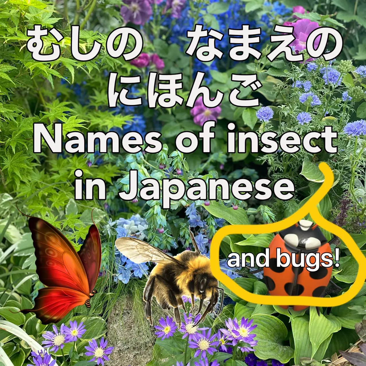 9names of insects and bugs in Japanese. | Yumimama senseiが投稿したフォトブック ...