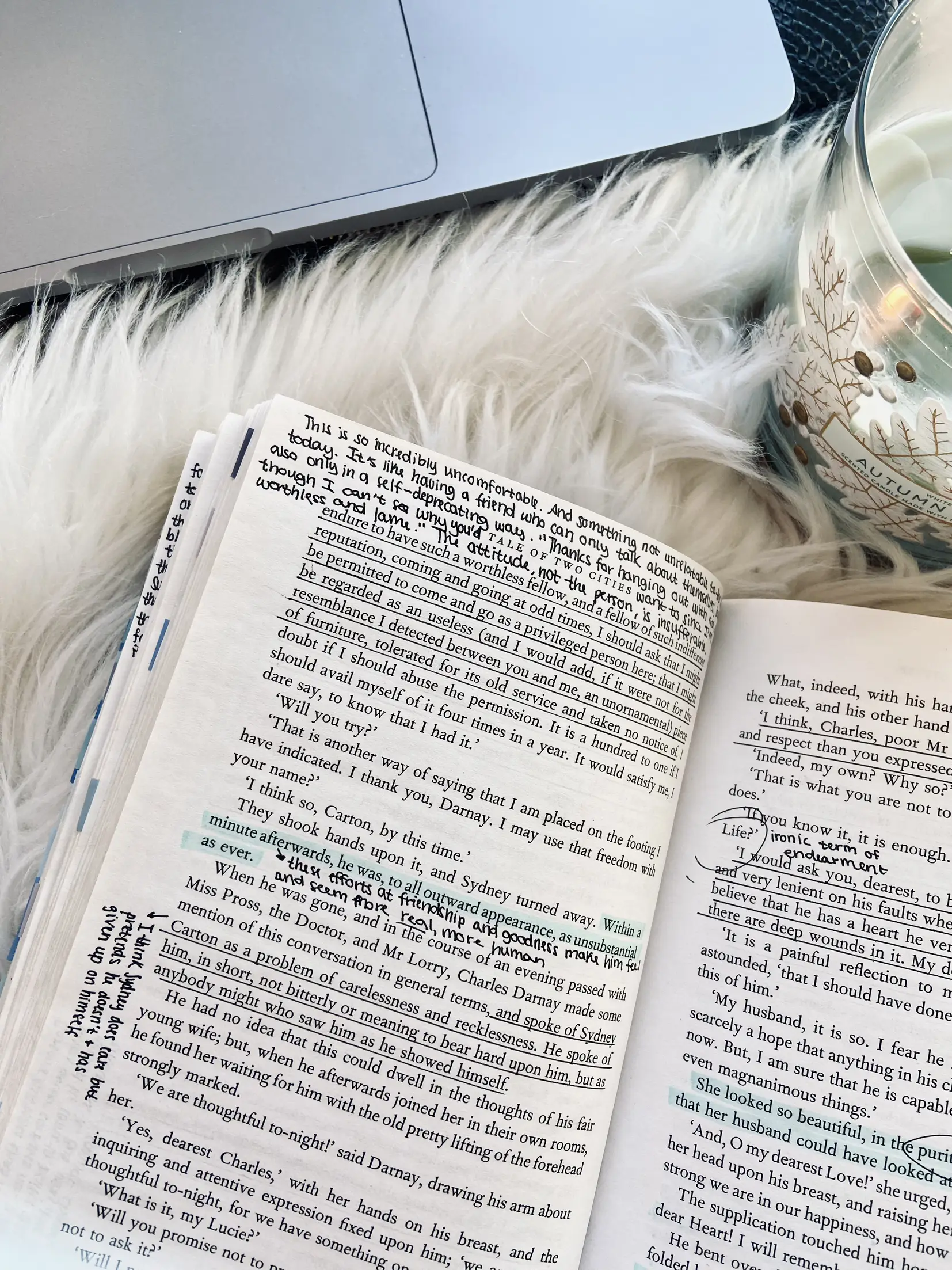 A Tale of Two Cities Annotations | Gallery posted by Zoe Sage | Lemon8