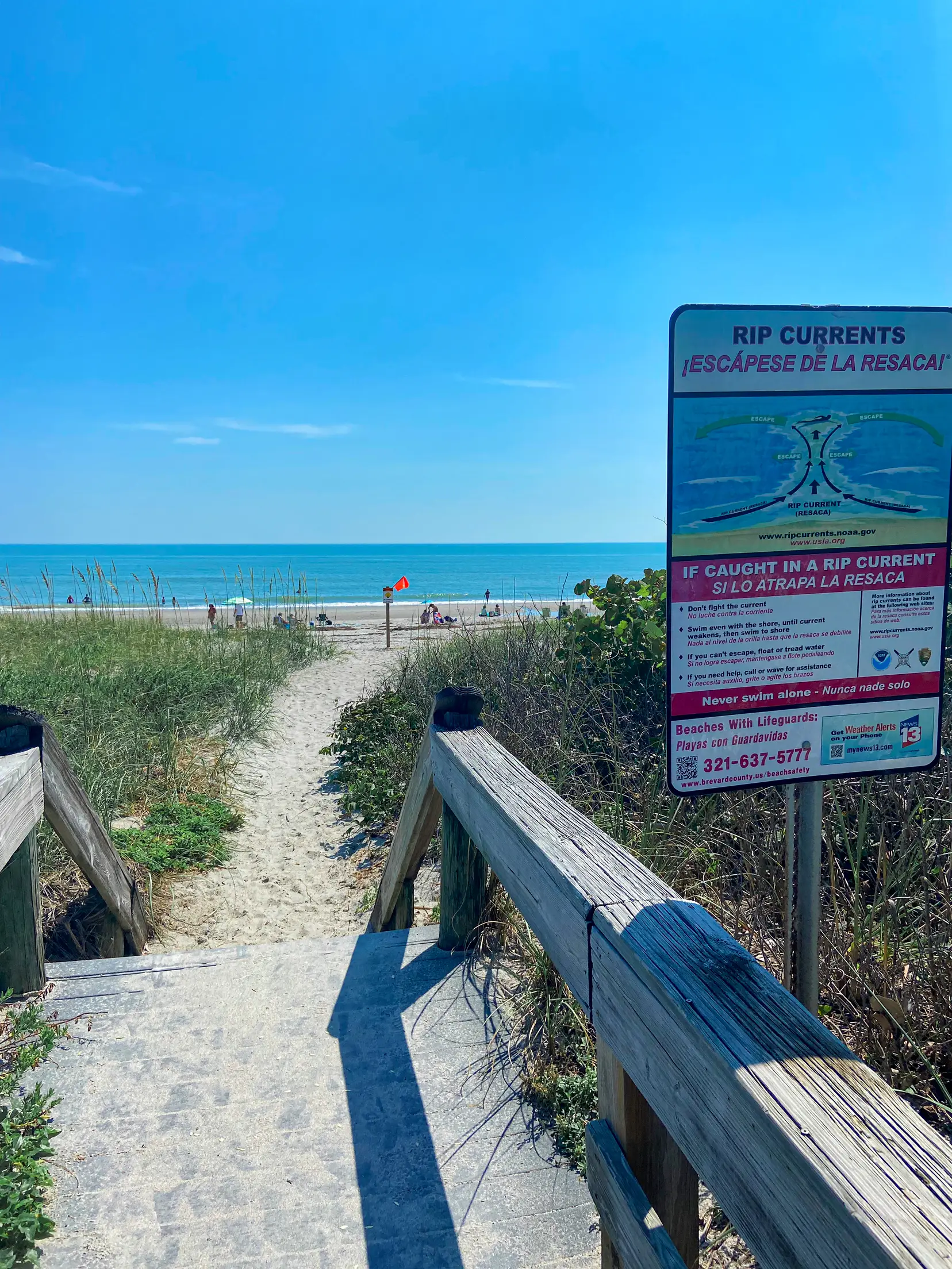 Bagels on the Beach 🥯 | Gallery posted by emily jo’elle | Lemon8