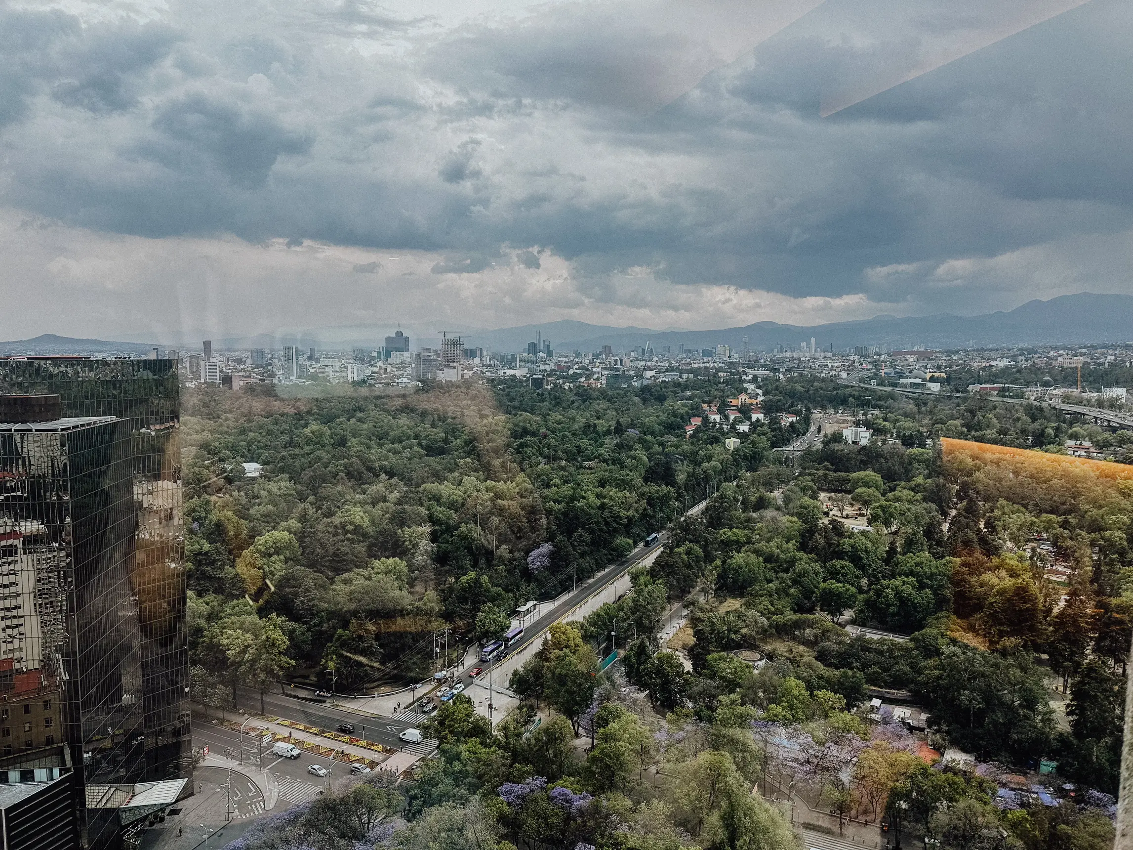 Go to Polanco, Mexico City | Gallery posted by Courtney Morrow | Lemon8