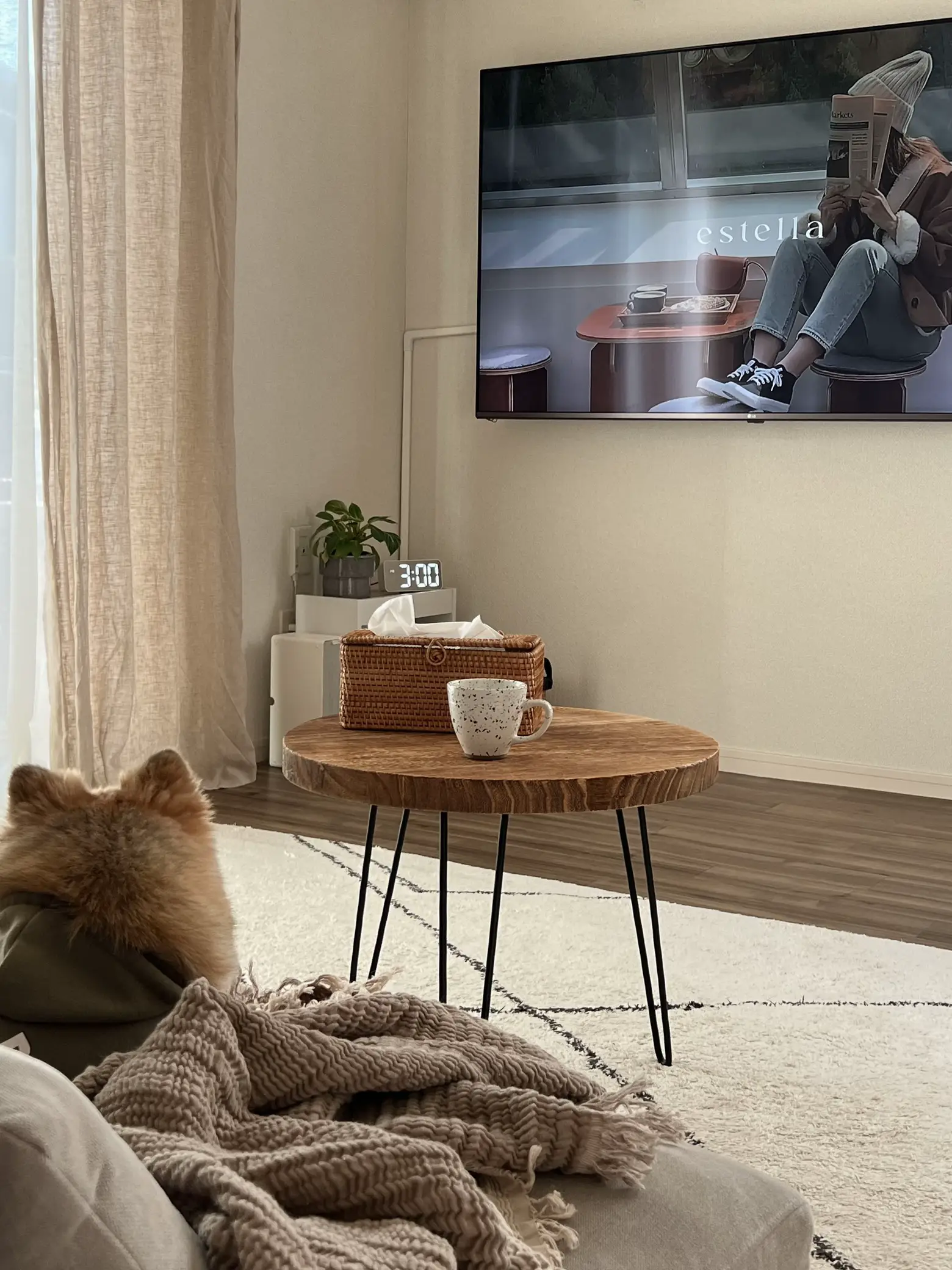 我が家の壁掛けテレビ | miiiが投稿したフォトブック | Lemon8