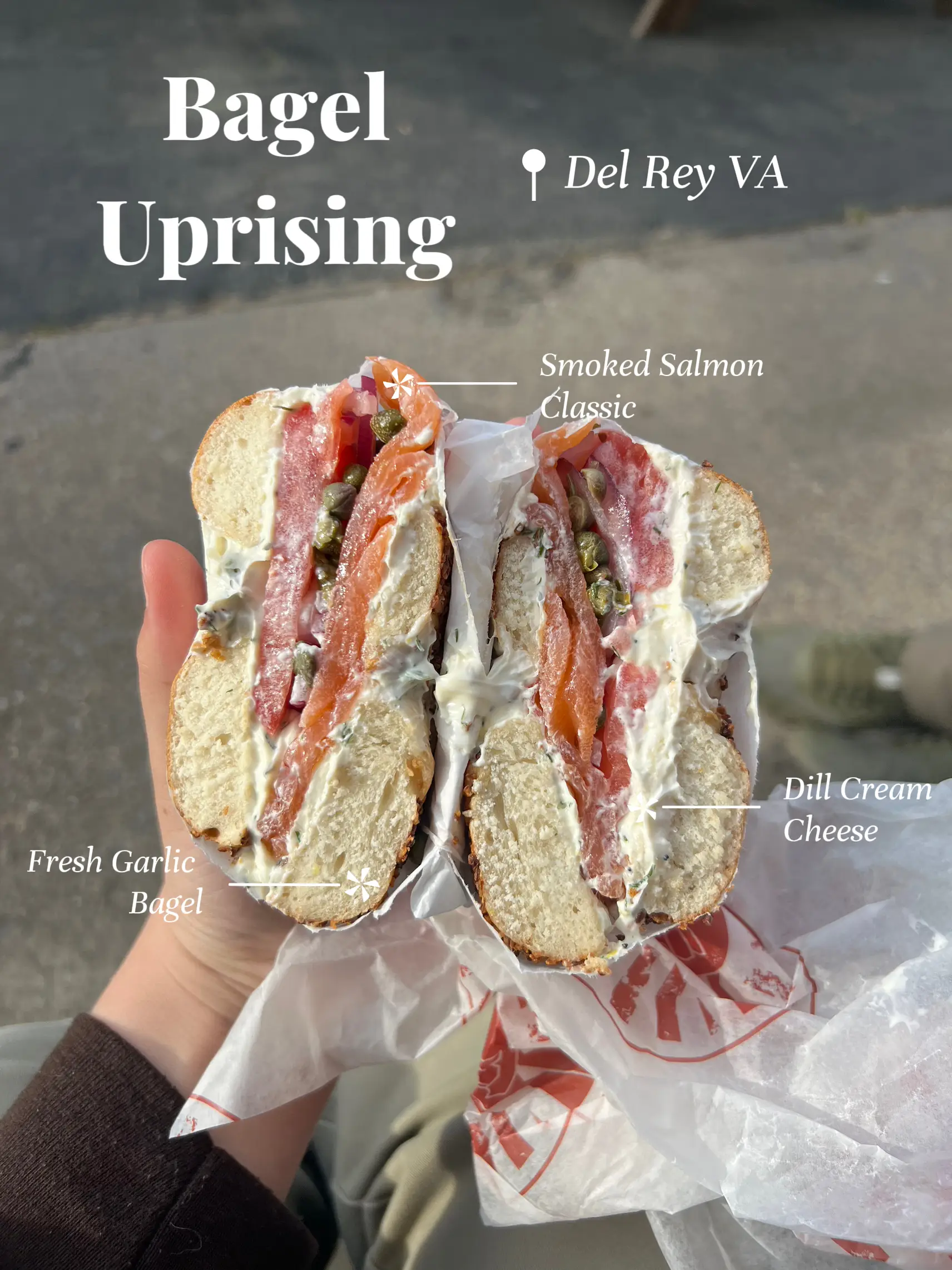 Bagel Uprising in Del Rey VA | Gallery posted by gothcider | Lemon8