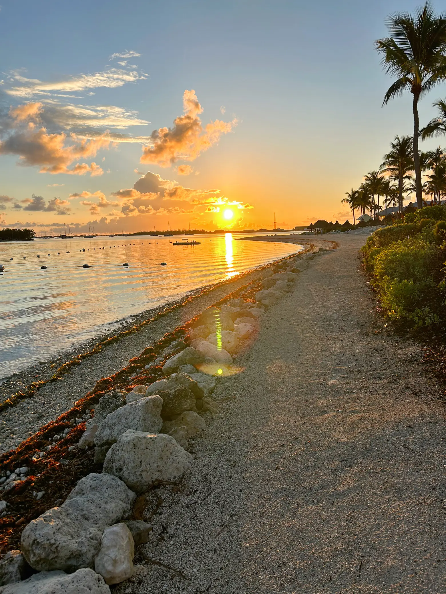 Self care tips for mamas | Gallery posted by sarahgaccione | Lemon8