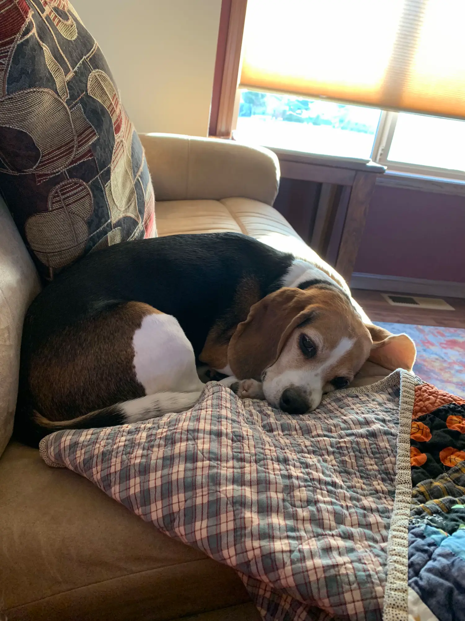 Sadie Mae 💗 | Gallery posted by Lindsay 🪴 | Lemon8