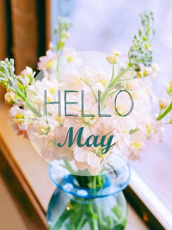 Hello May, please be awesome. | Gallery posted by Em Shannon | Lemon8