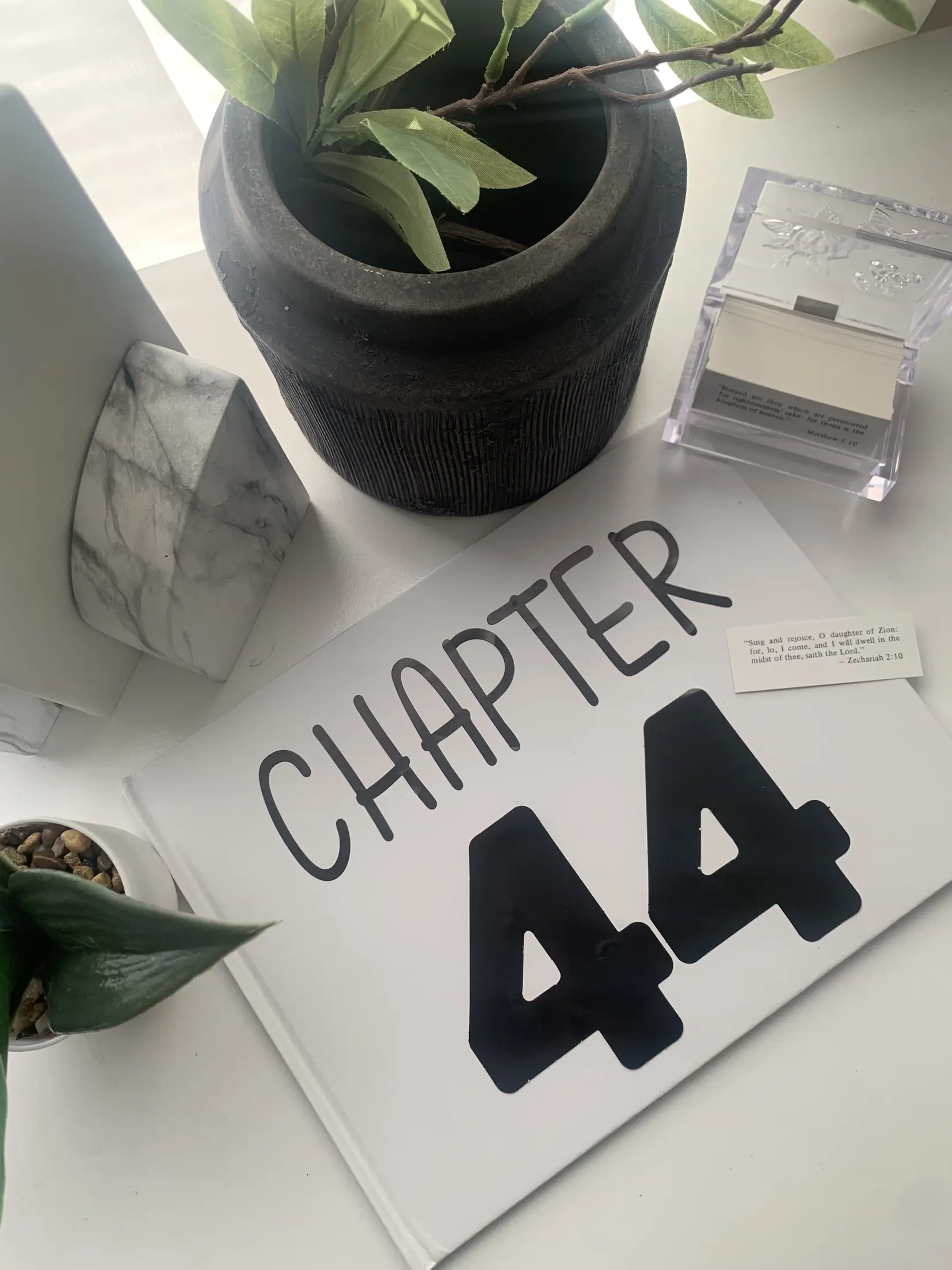 …chapter 44 | Gallery posted by Casey Jovan | Lemon8