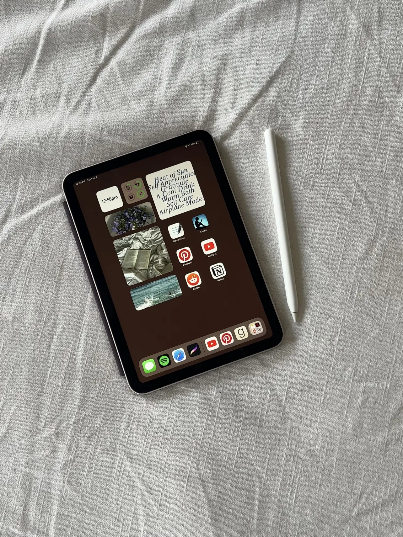 10 iPad Homescreen Ideas💡 | แกลเลอรีที่โพสต์โดย Flourishplanner | Lemon8