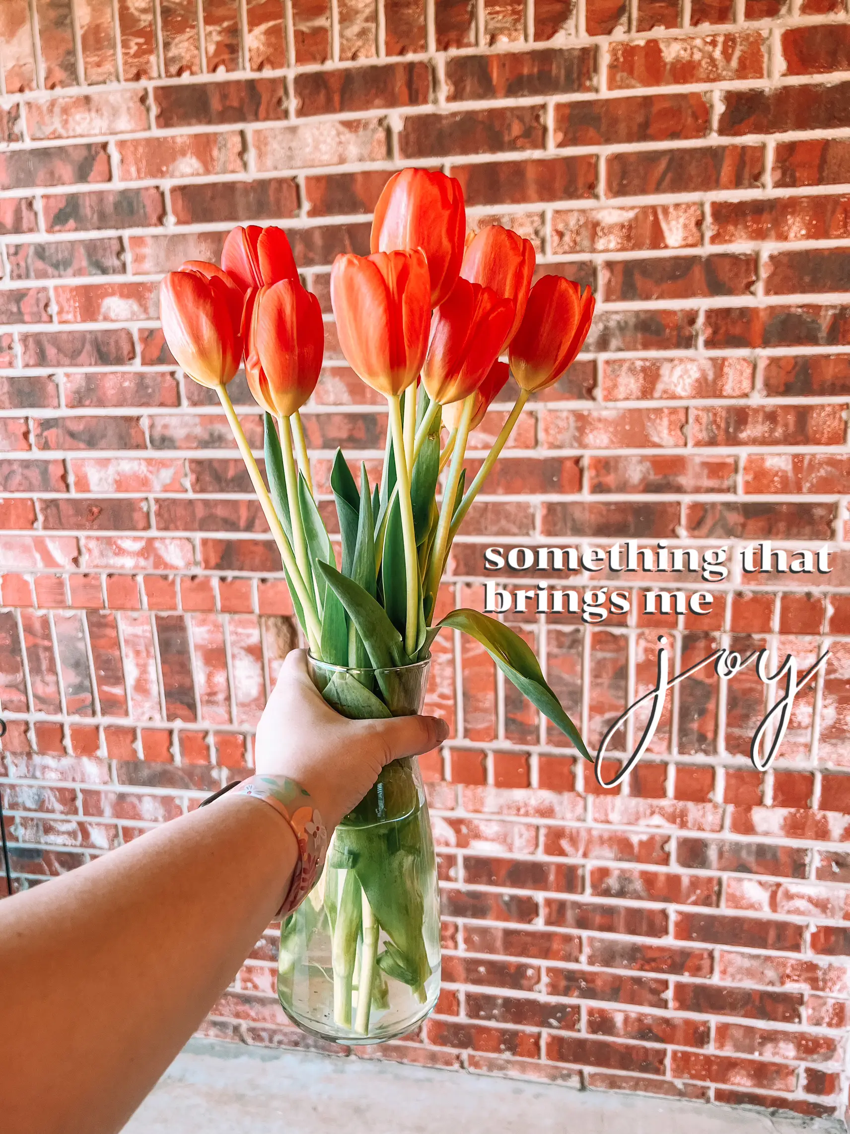 SOMETHING THAT BRINGS ME JOY | Gallery posted by Taylor Ferguson | Lemon8