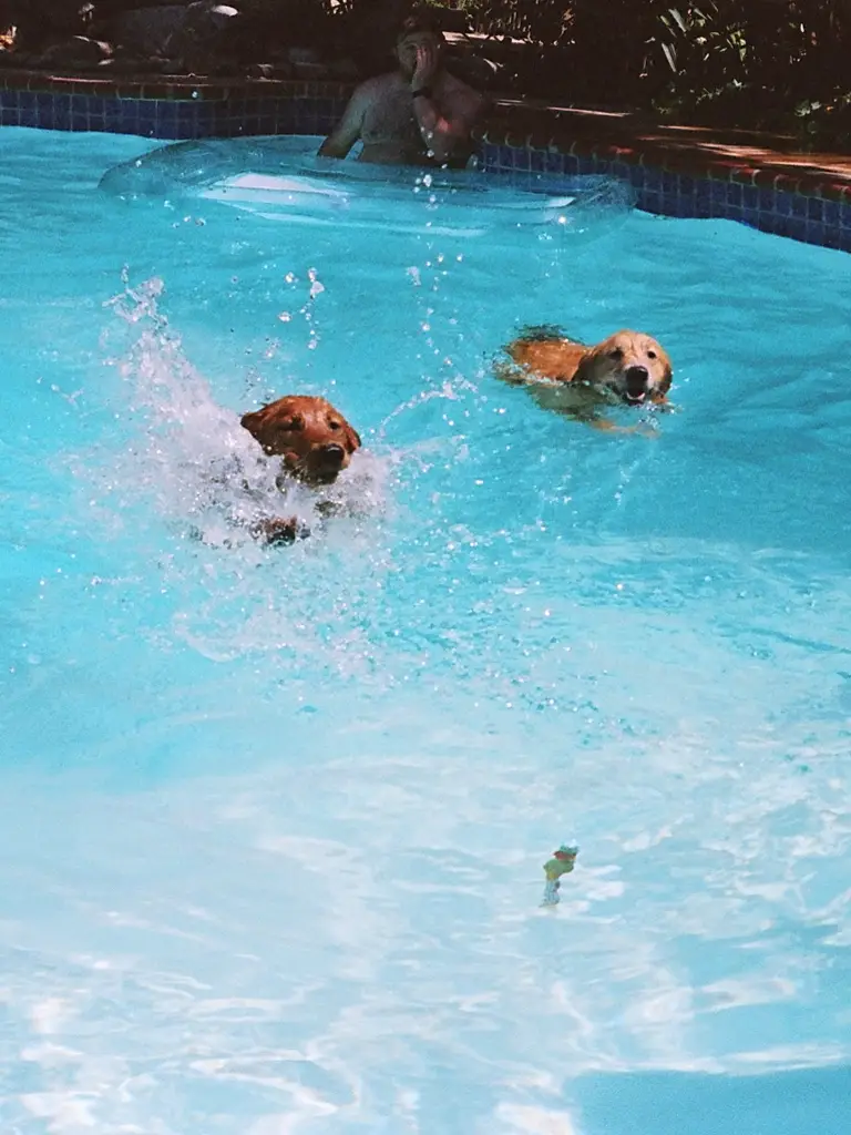 Some recent snaps 📸 | แกลเลอรีที่โพสต์โดย Jillian Nichols | Lemon8