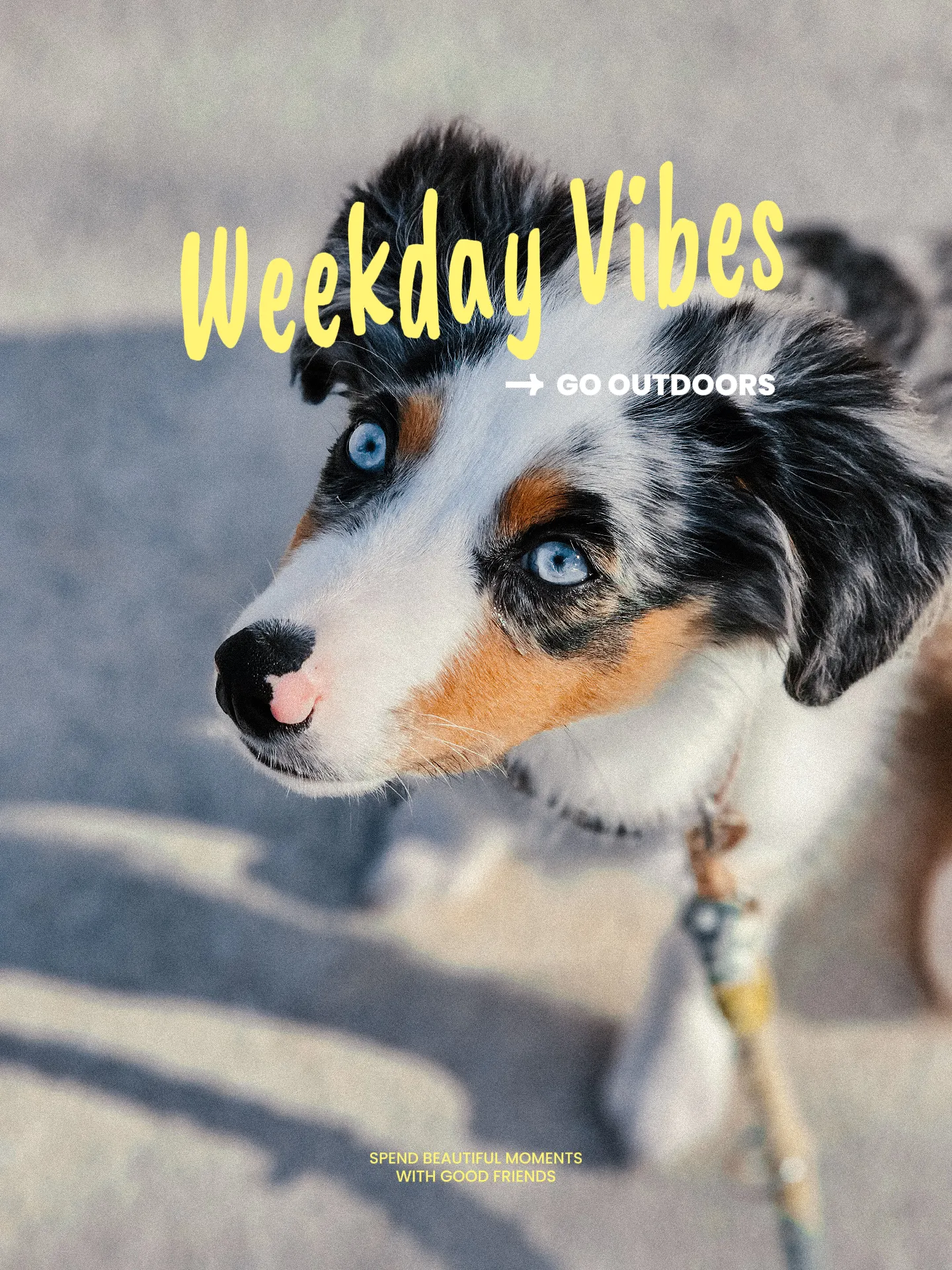 Weekday Vibes | Gallery posted by Jasper | Lemon8
