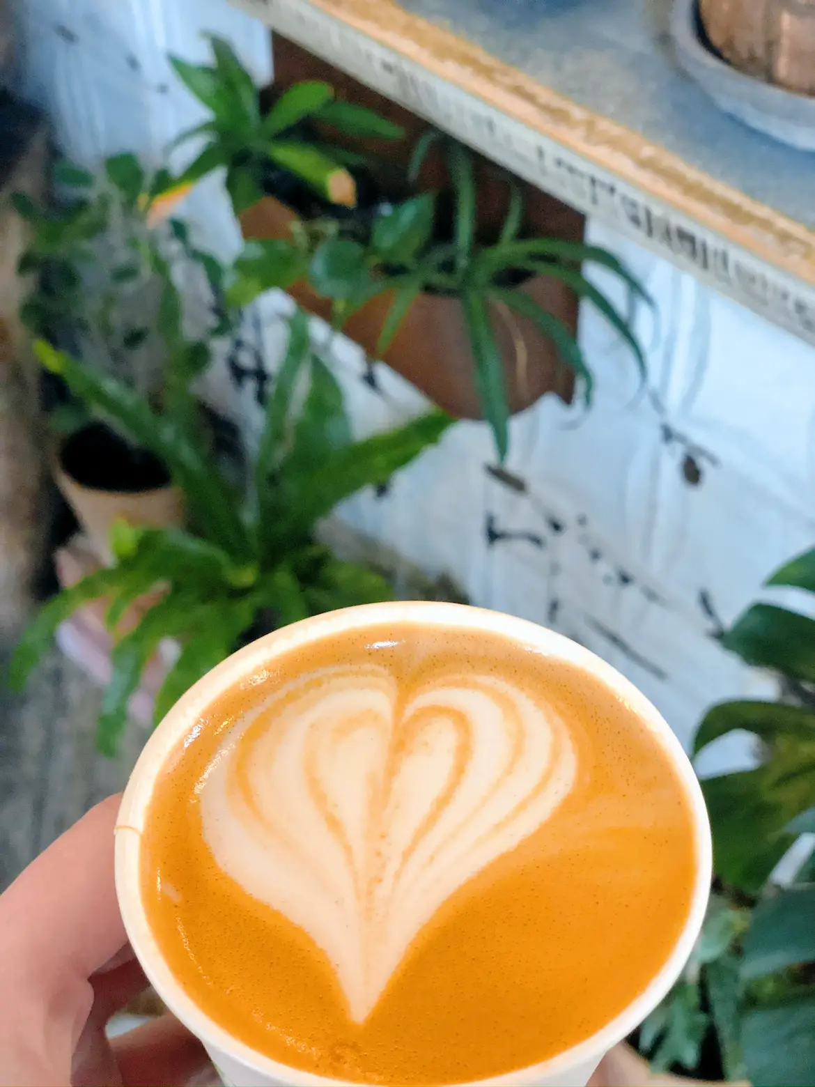 PPL, a hidden gem coffee shop in Williamsburg ☕️🪴 | แกลเลอรีที่โพสต์โดย ...