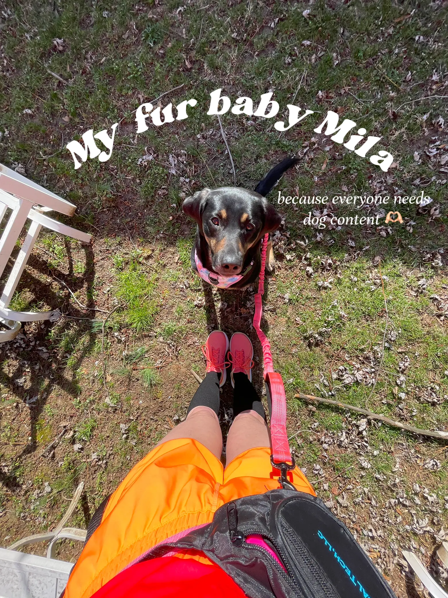 What I’ll be posting about & why I’m on lemon8 | แกลเลอรีที่โพสต์โดย Dani Sky | Lemon8