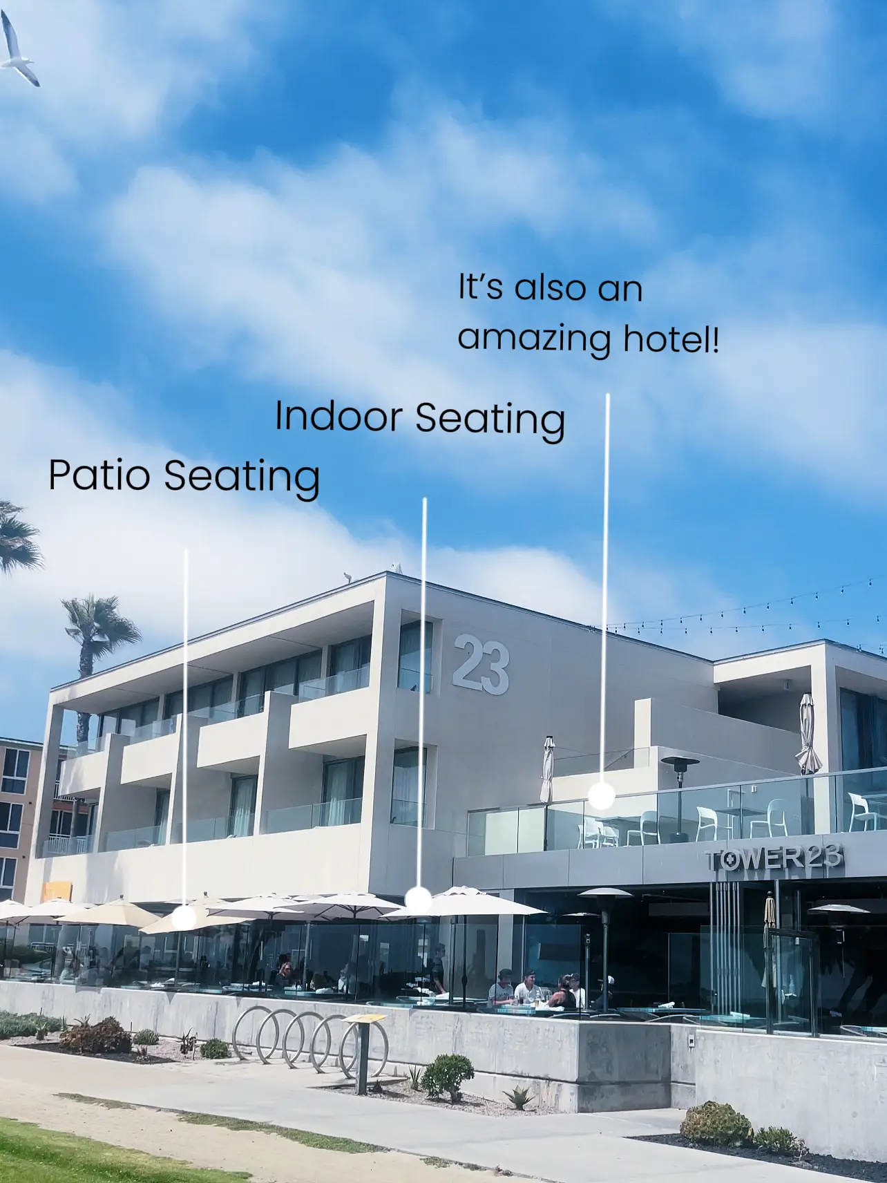 You have to go here when in San Diego! | Gallery posted by Ashley Lyn | Lemon8